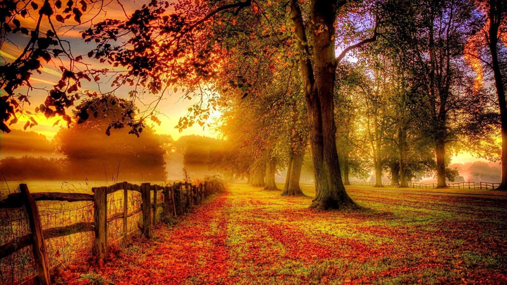 Cool Autumn Wallpapers - Top Free Cool Autumn Backgrounds - WallpaperAccess