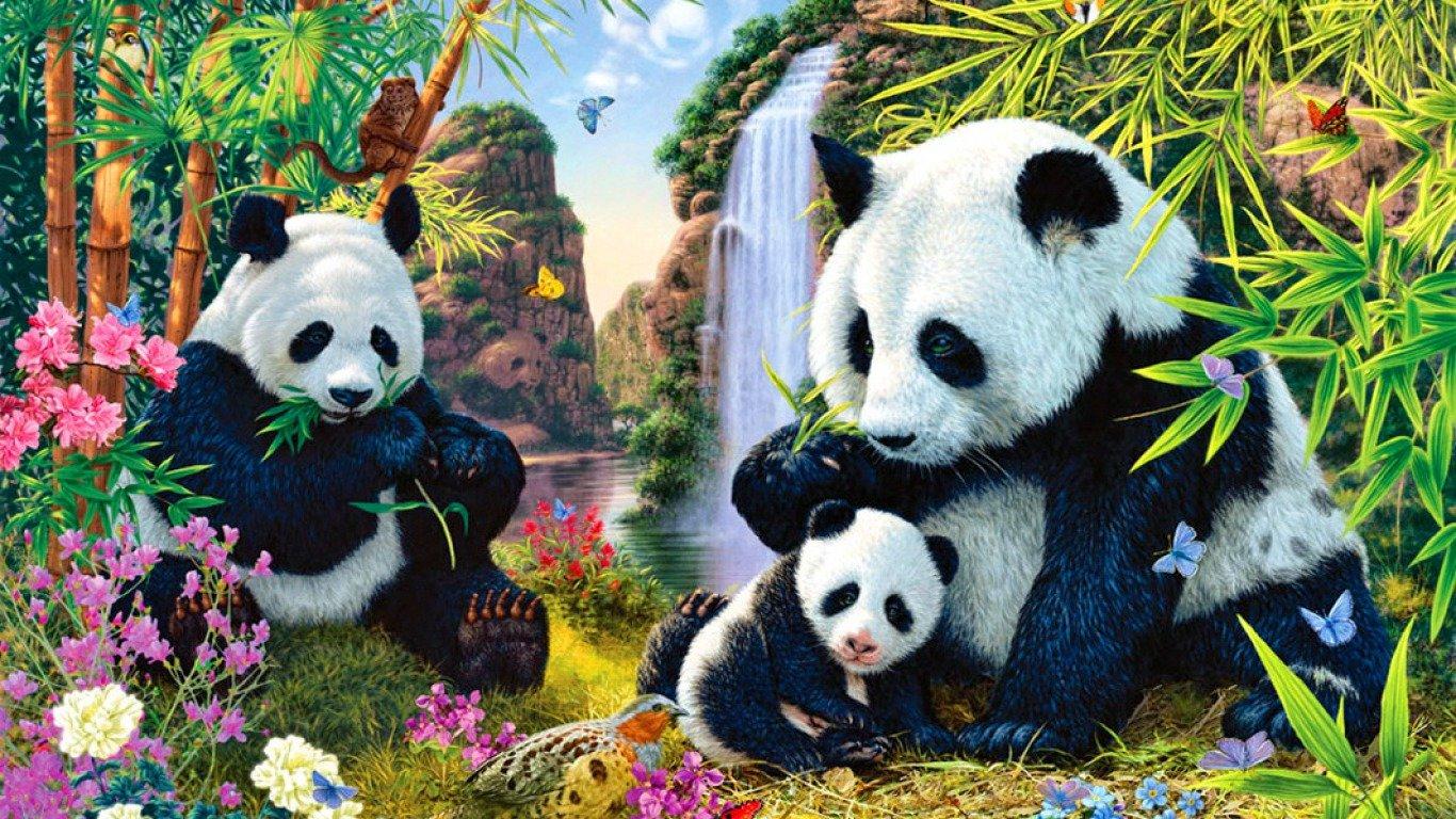 Panda Laptop Wallpapers - Top Free Panda Laptop Backgrounds ...
