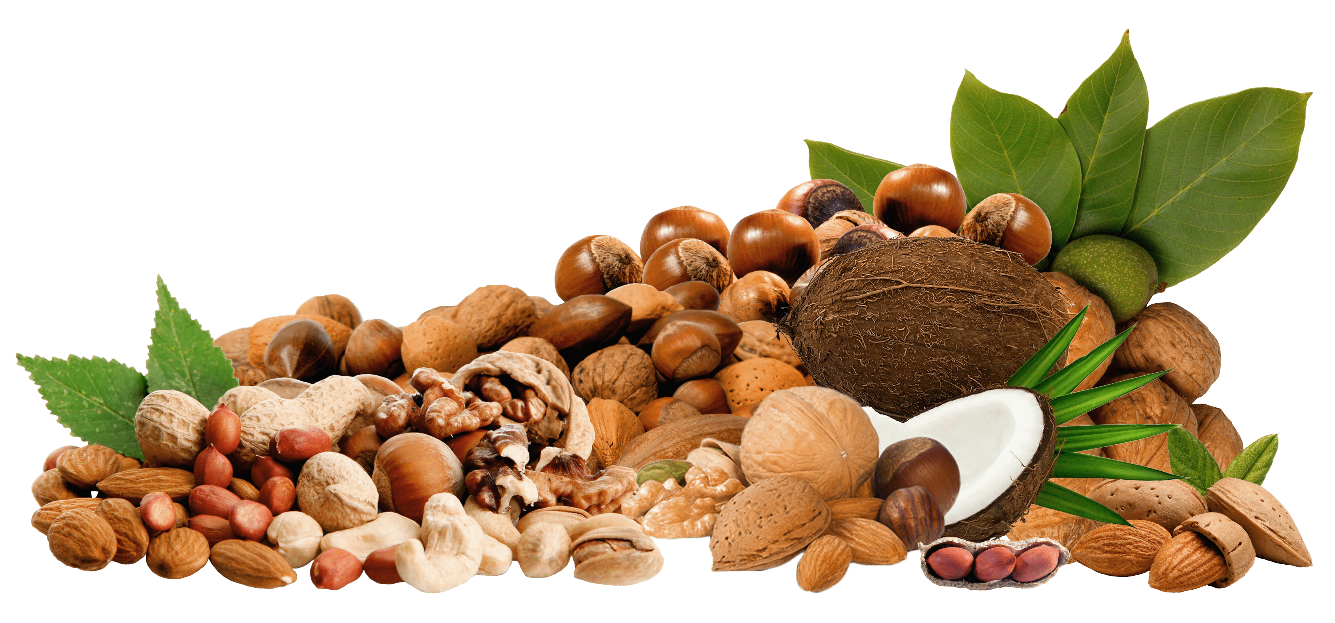 Nuts Wallpapers - Top Free Nuts Backgrounds - WallpaperAccess