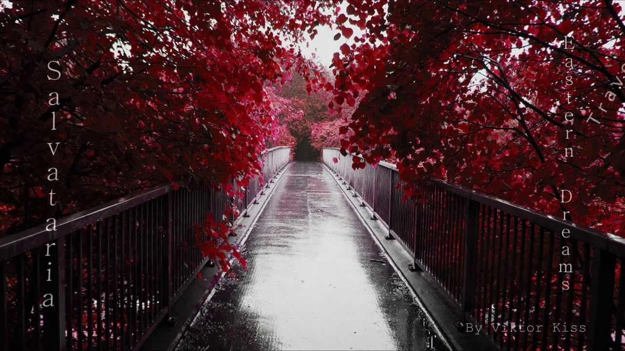 Relaxing Japanese Wallpapers - Top Free Relaxing Japanese Backgrounds ...