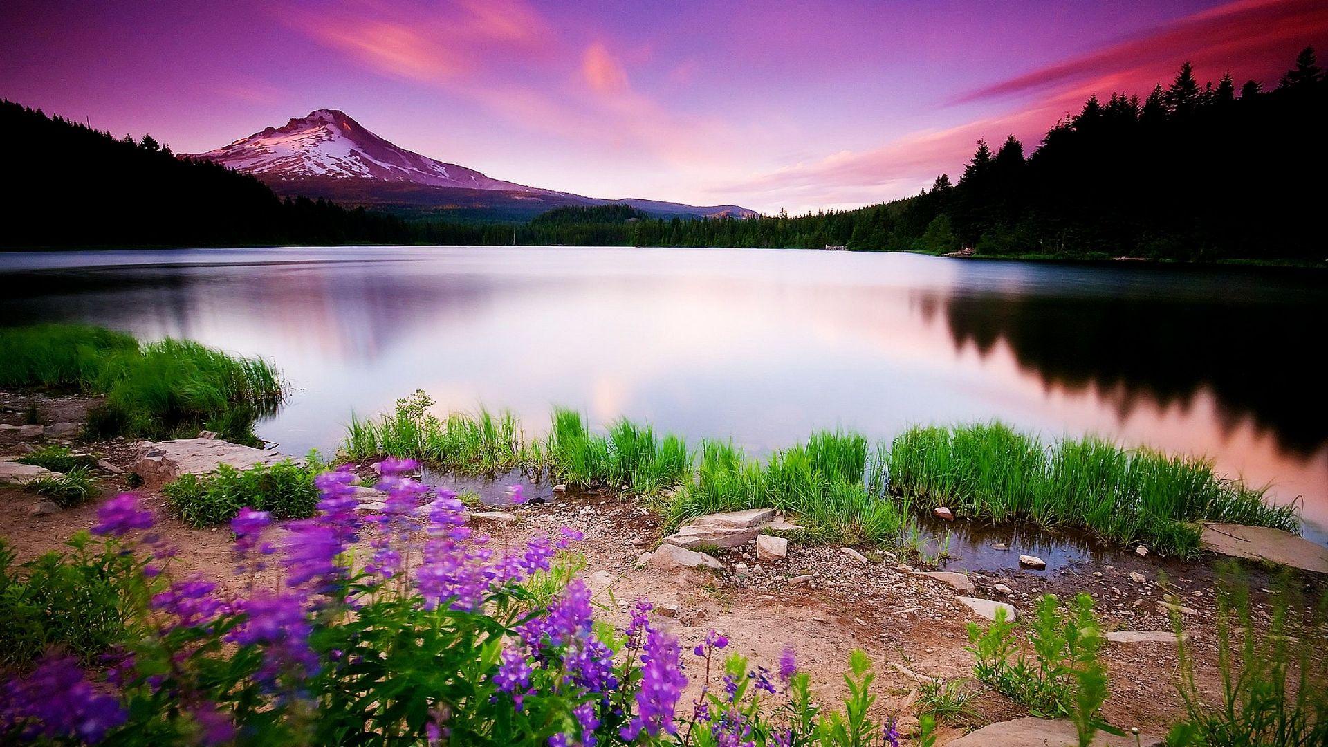 Nature Scenes Desktop Wallpapers - Top Free Nature Scenes Desktop ...