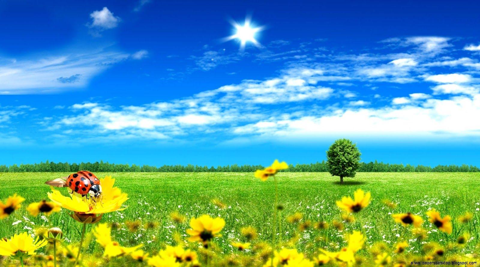 Nature Scenes Desktop Wallpapers - Top Free Nature Scenes Desktop ...