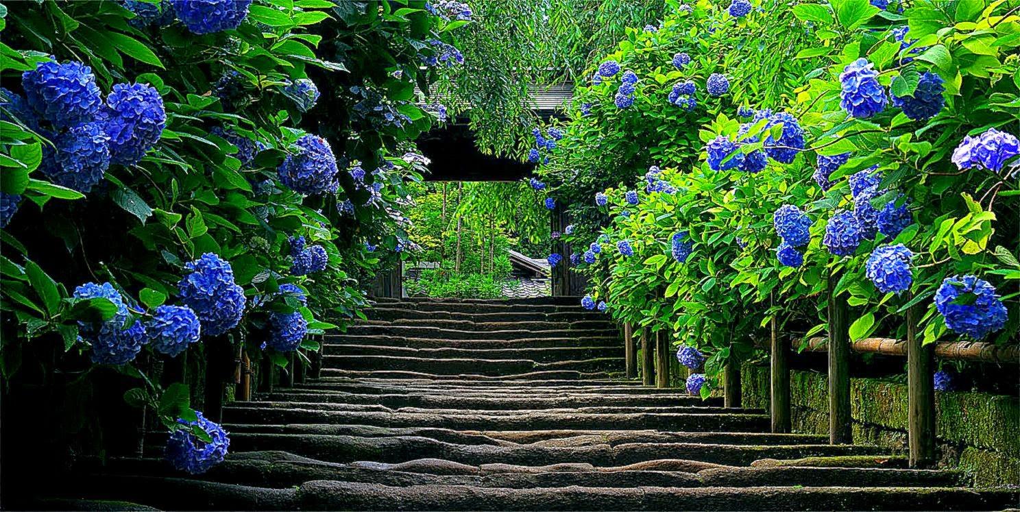 Nature Scenes Desktop Wallpapers - Top Free Nature Scenes Desktop ...