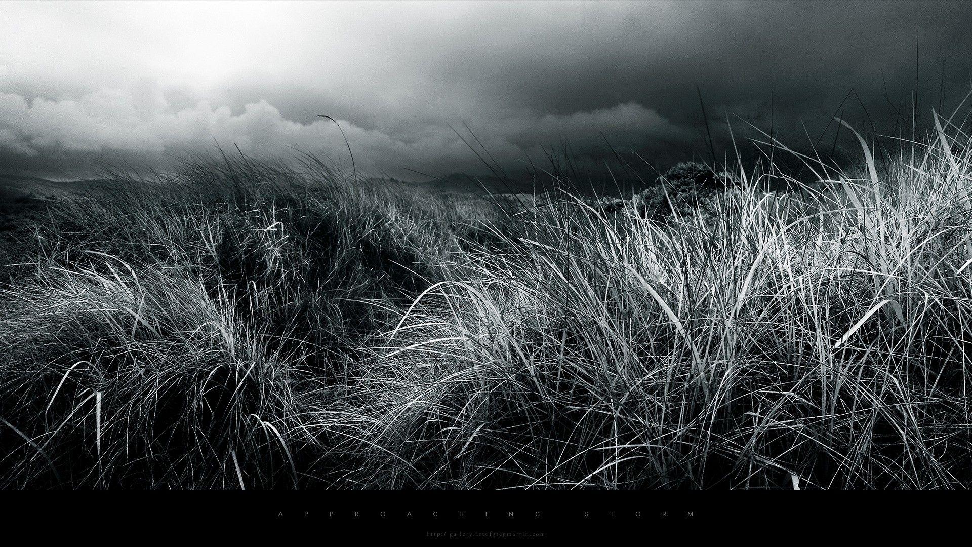Nature Black Wallpapers - Top Free Nature Black Backgrounds ...