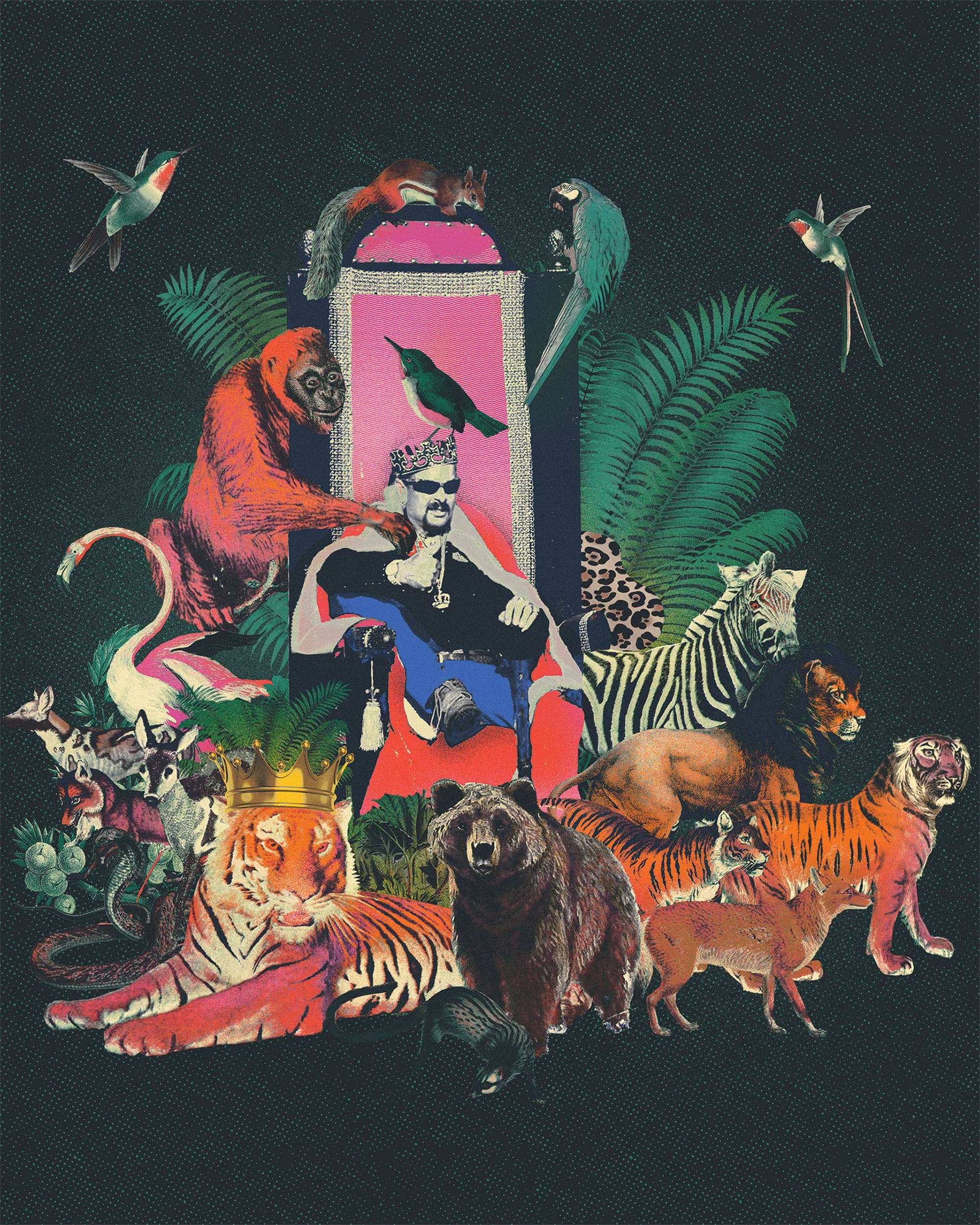 Joe Exotic Wallpapers - Top Free Joe Exotic Backgrounds - WallpaperAccess