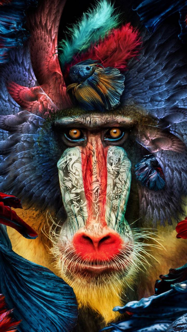 Mandrill Wallpapers - Top Free Mandrill Backgrounds - WallpaperAccess