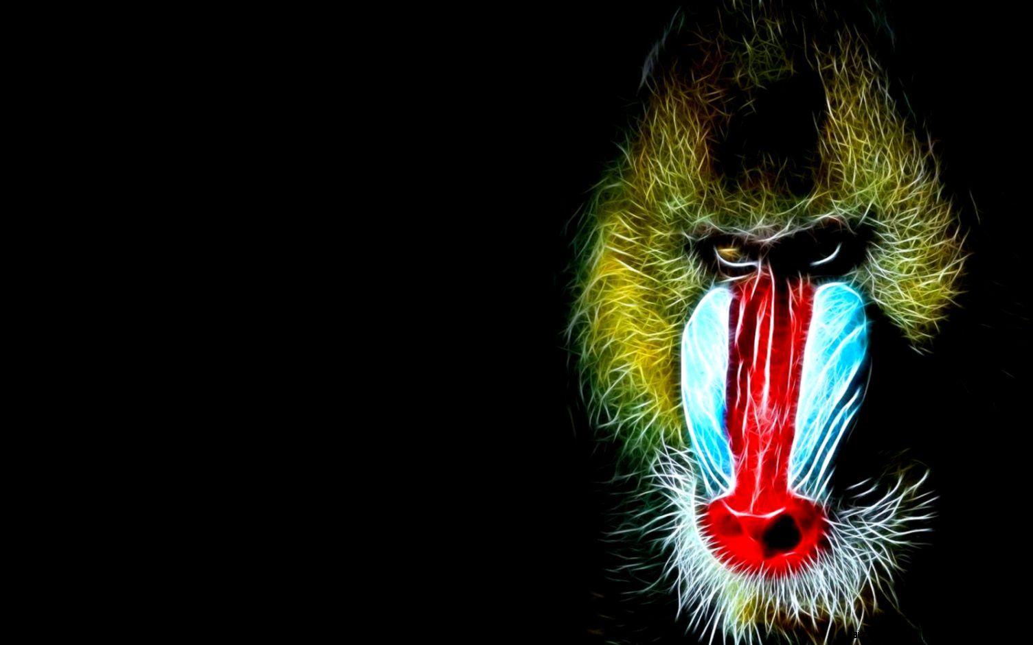 Mandrill Wallpapers - Top Free Mandrill Backgrounds - WallpaperAccess