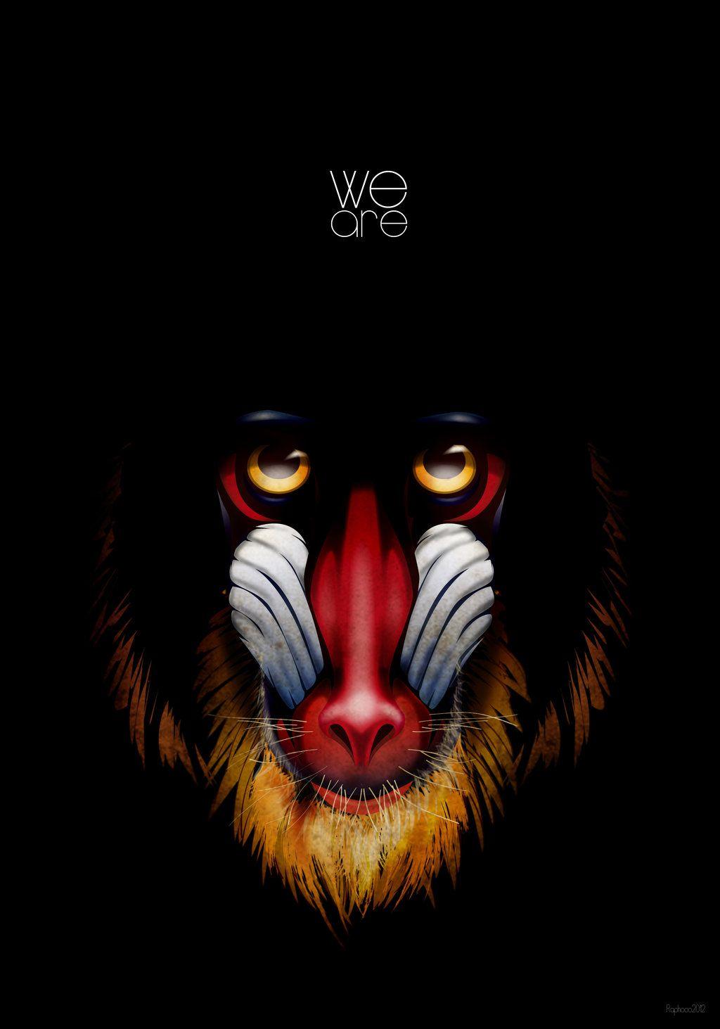 Mandrill Wallpapers - Top Free Mandrill Backgrounds - WallpaperAccess