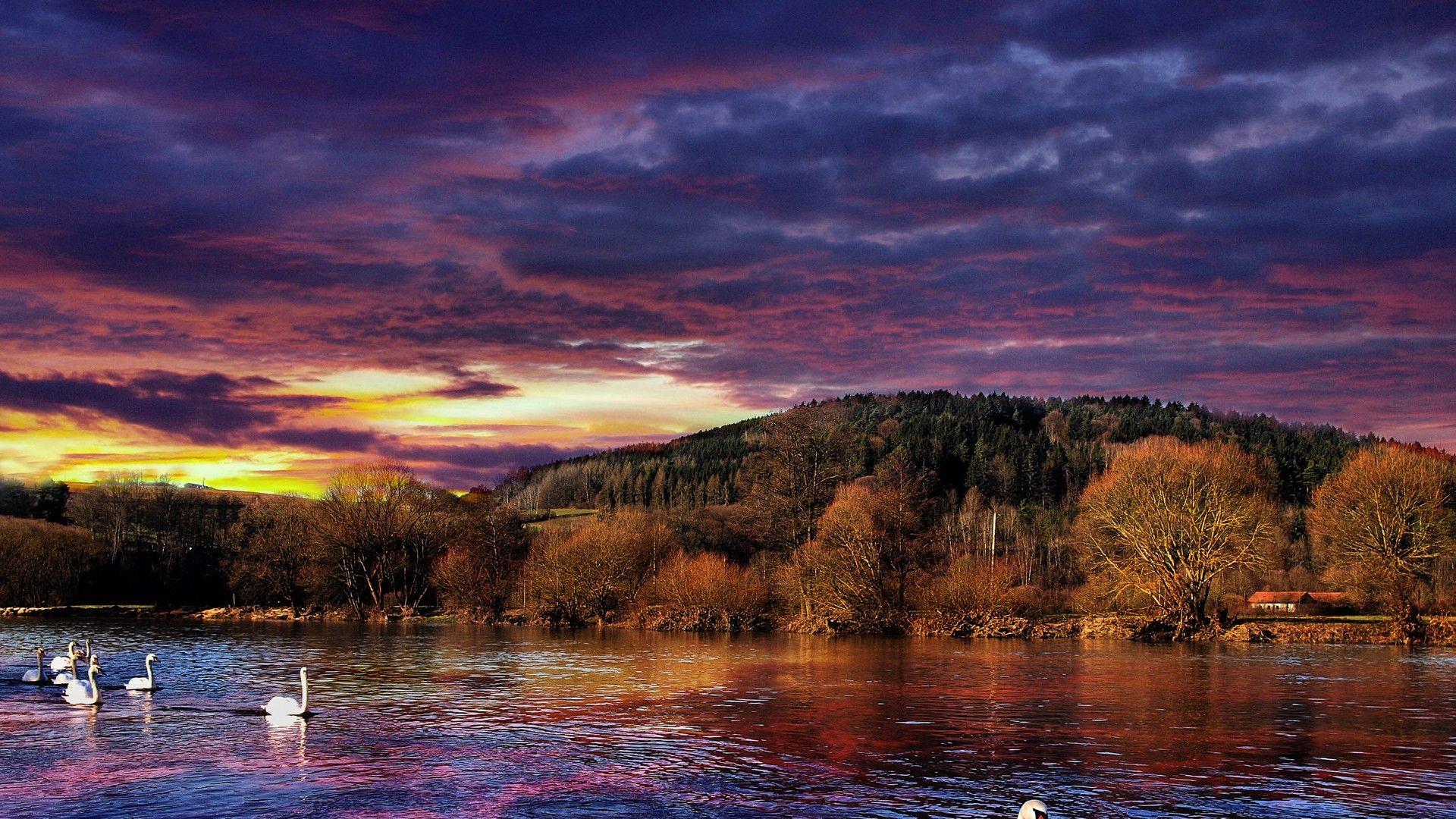 Ducks Unlimited Wallpapers - Top Free Ducks Unlimited Backgrounds ...