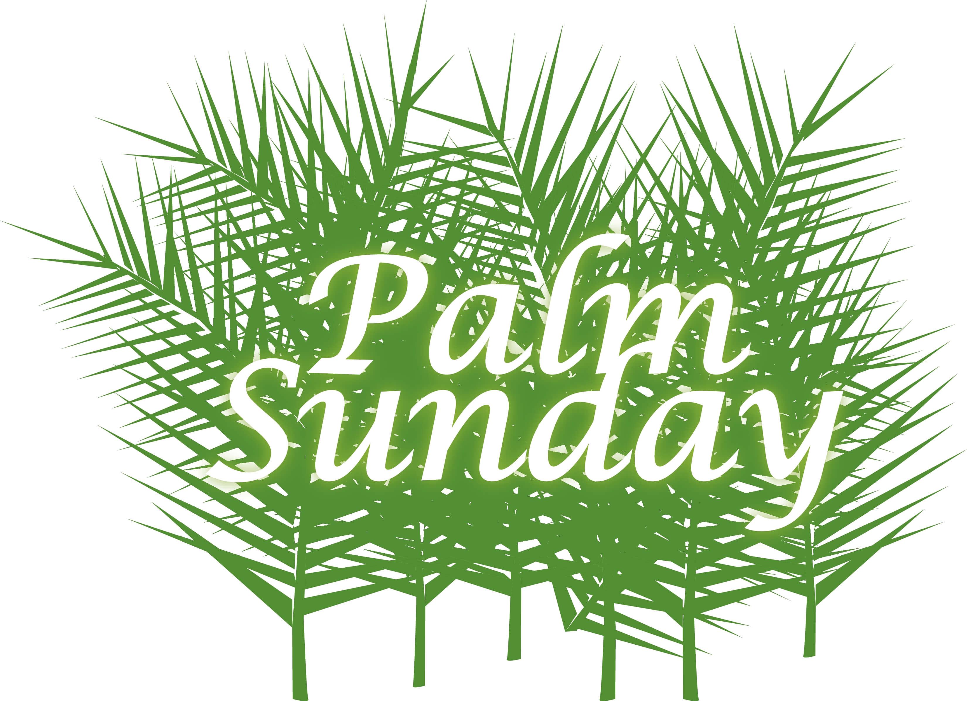 Palm Sunday Wallpapers - Top Free Palm Sunday Backgrounds - WallpaperAccess