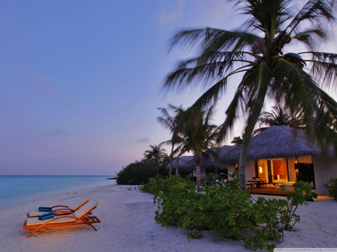 Exotic Desktop Wallpapers - Top Free Exotic Desktop Backgrounds ...