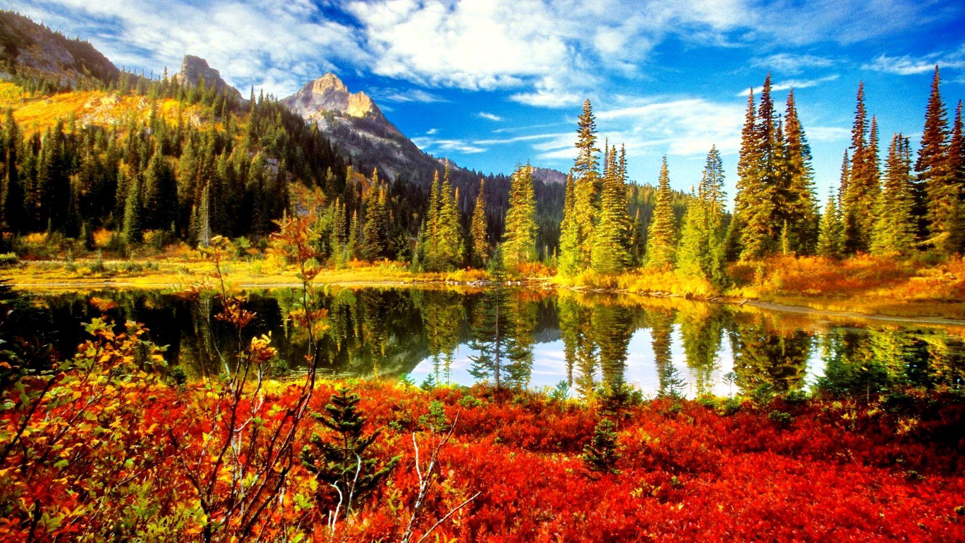 Autumn Scenery Wallpapers - Top Free Autumn Scenery Backgrounds ...