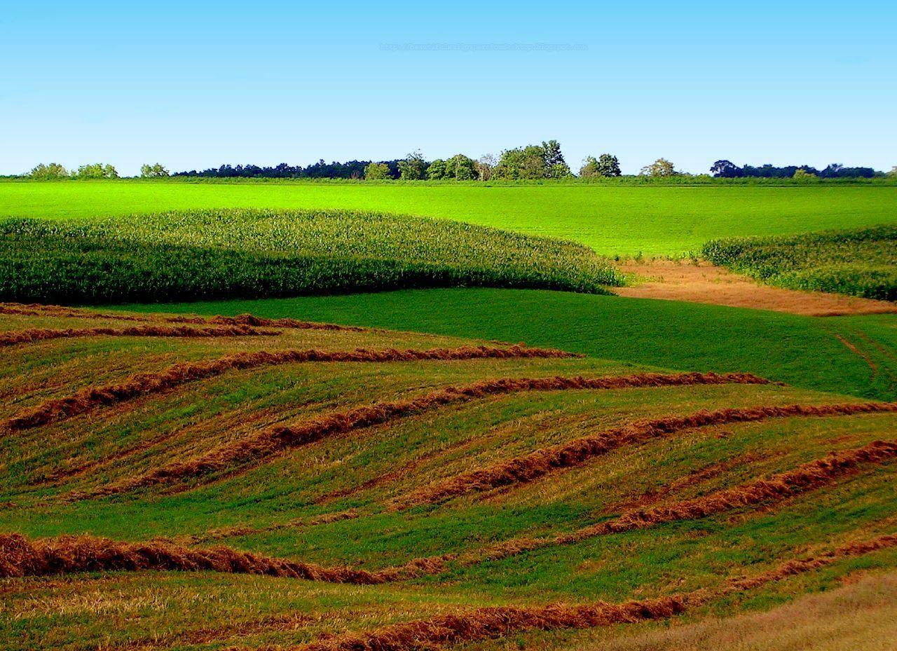 American Nature Wallpapers - Top Free American Nature Backgrounds ...