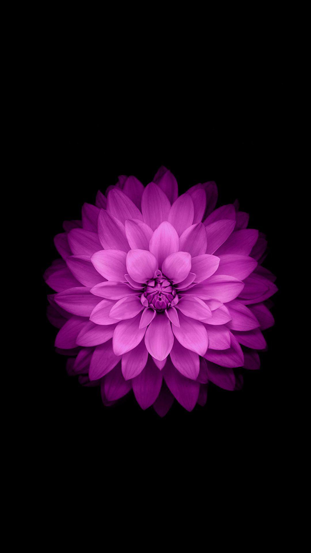 iPhone 6s Plus HD Wallpapers - Top Free iPhone 6s Plus HD Backgrounds ...