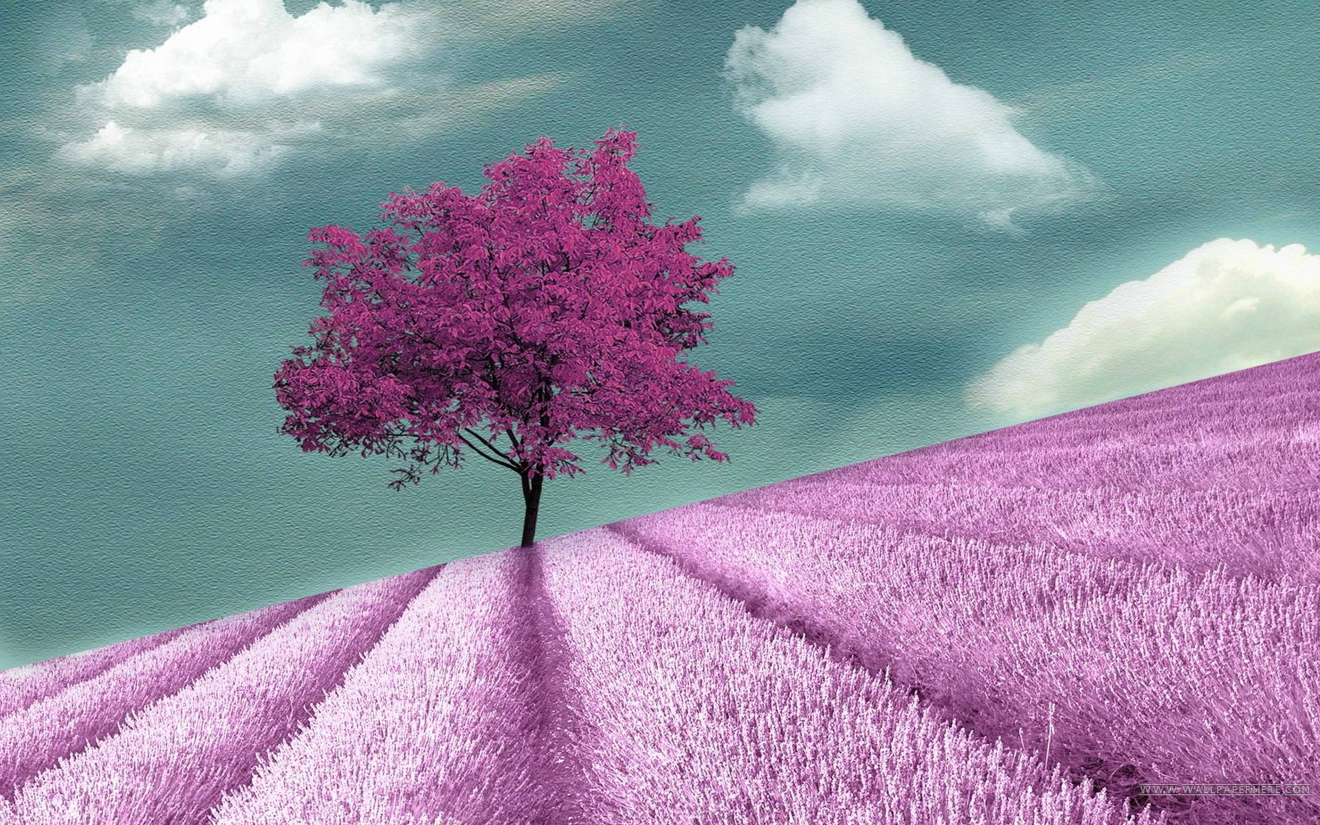 Purple Tree Wallpapers - Top Free Purple Tree Backgrounds - WallpaperAccess