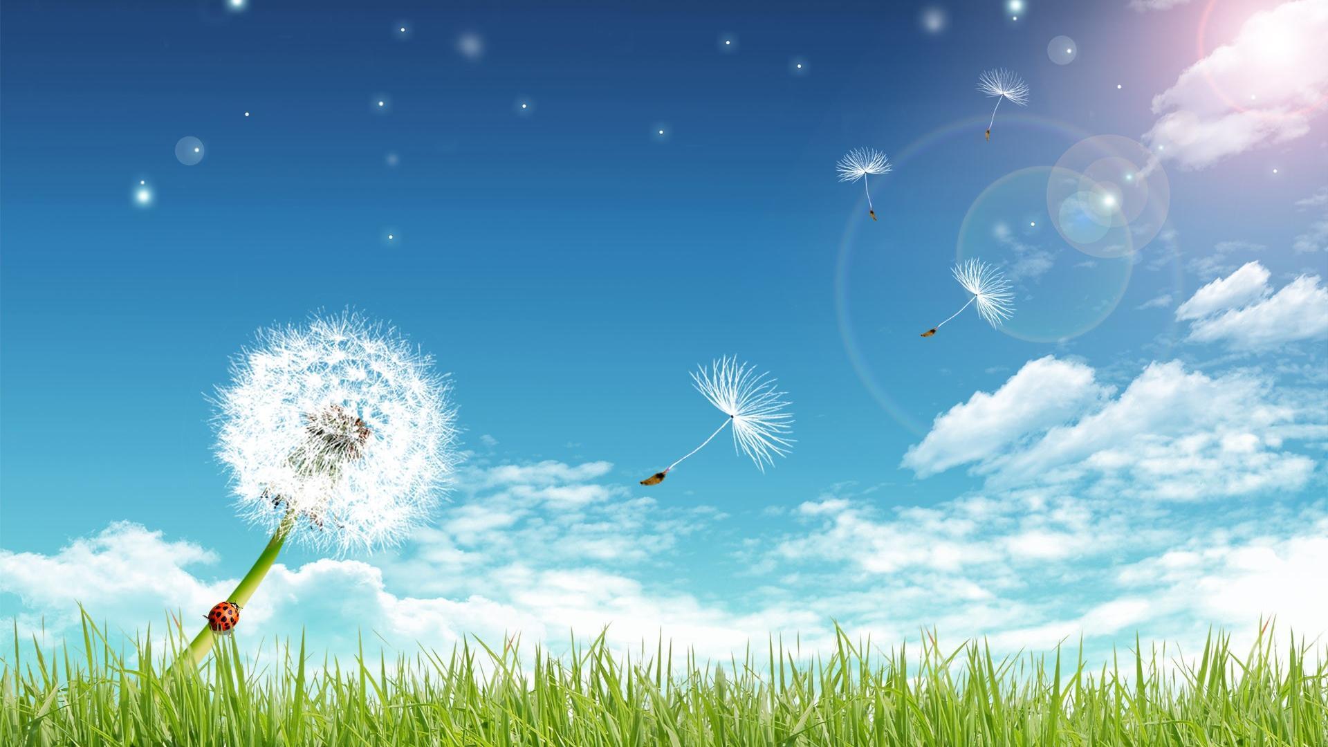 Summer Scenery Wallpapers - Top Free Summer Scenery Backgrounds ...