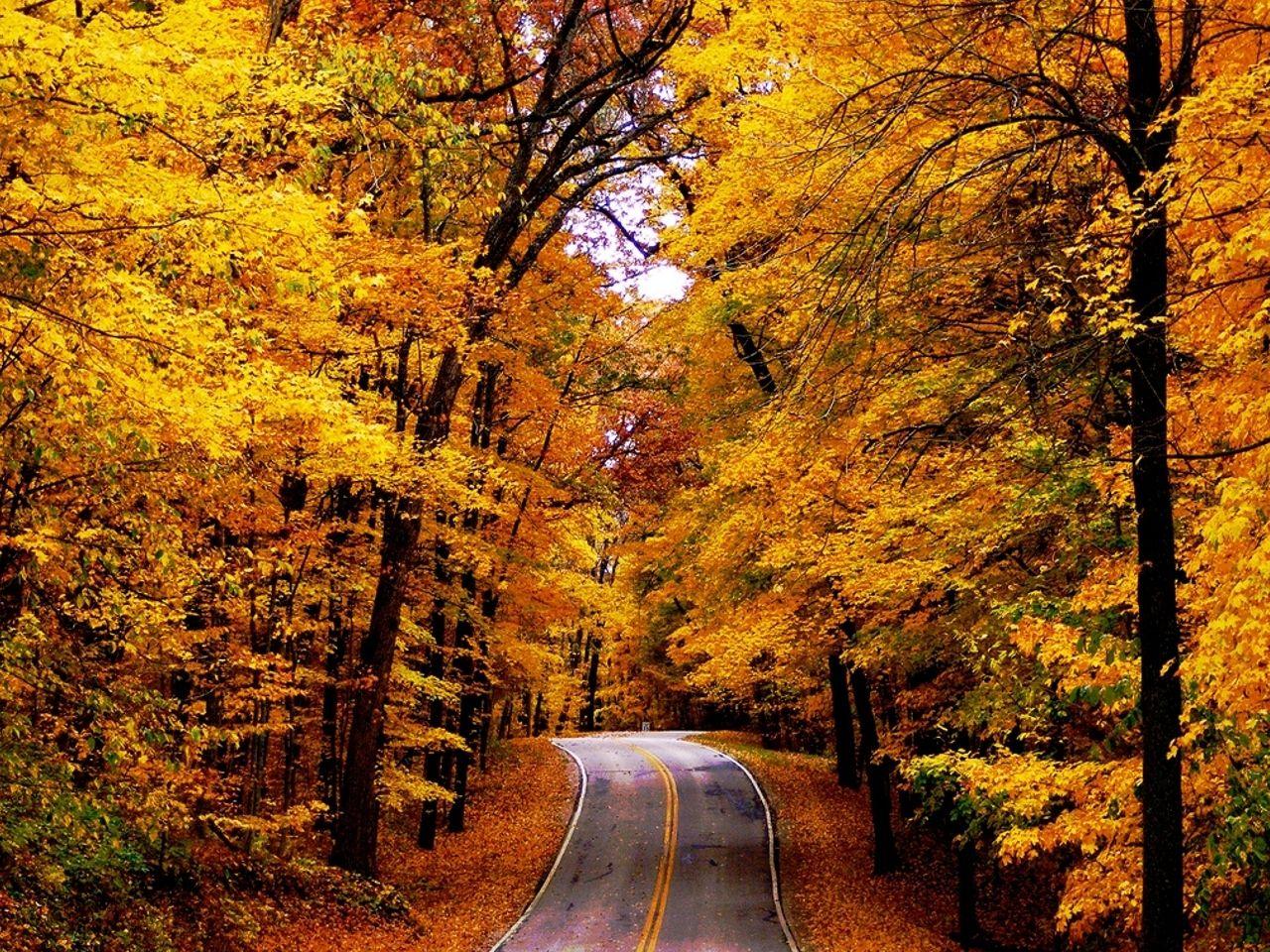 Autumn Road Wallpapers - Top Free Autumn Road Backgrounds - WallpaperAccess