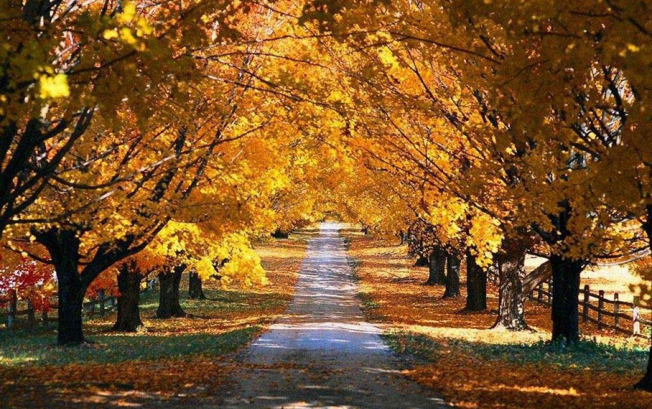 Autumn Road Wallpapers - Top Free Autumn Road Backgrounds - WallpaperAccess