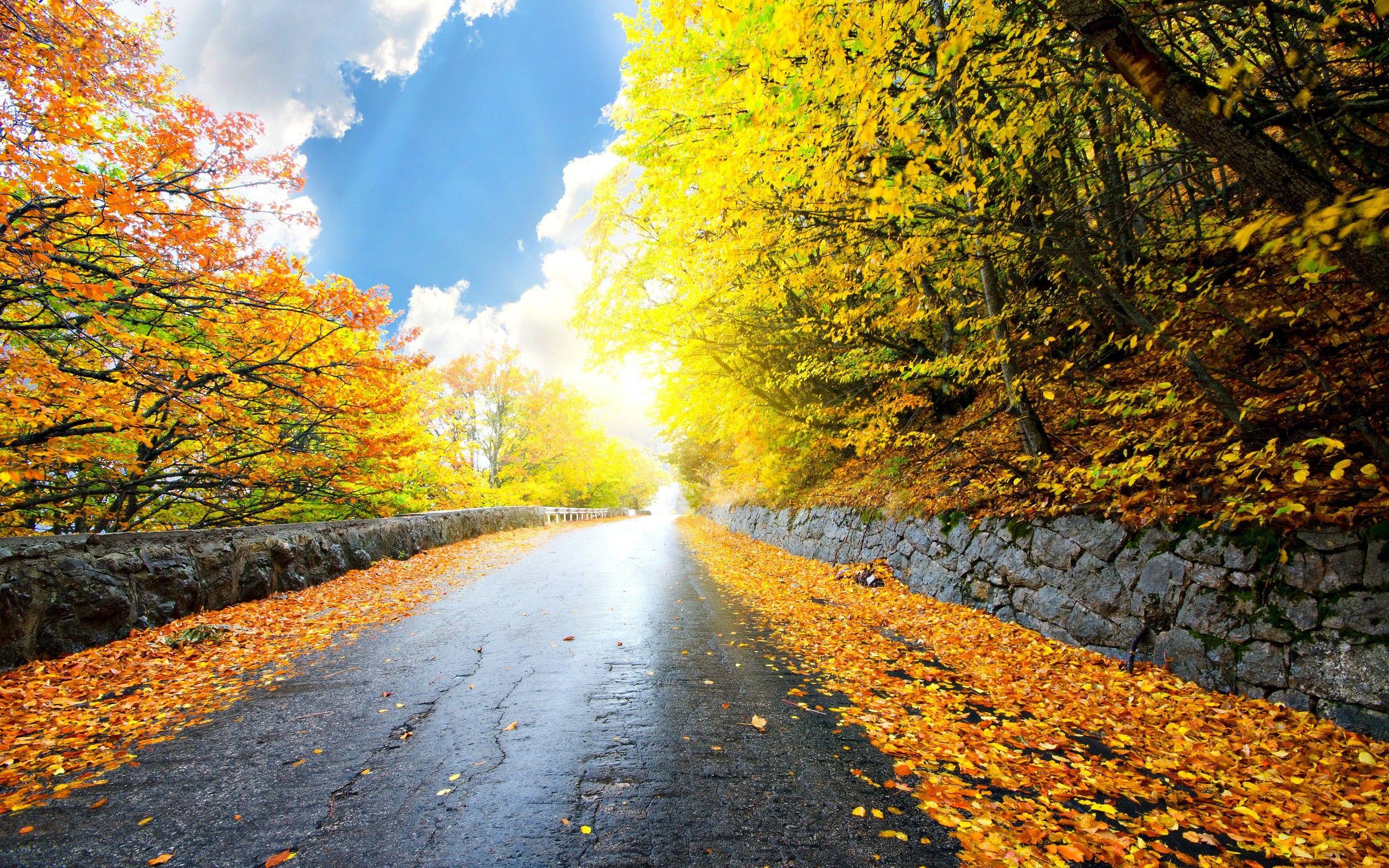 Autumn Road Wallpapers - Top Free Autumn Road Backgrounds - WallpaperAccess