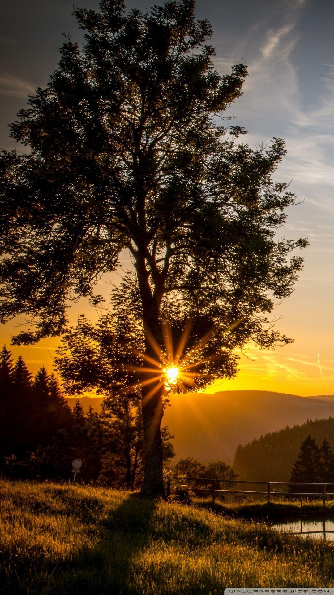 Sunset Scenery Wallpapers - Top Free Sunset Scenery Backgrounds ...