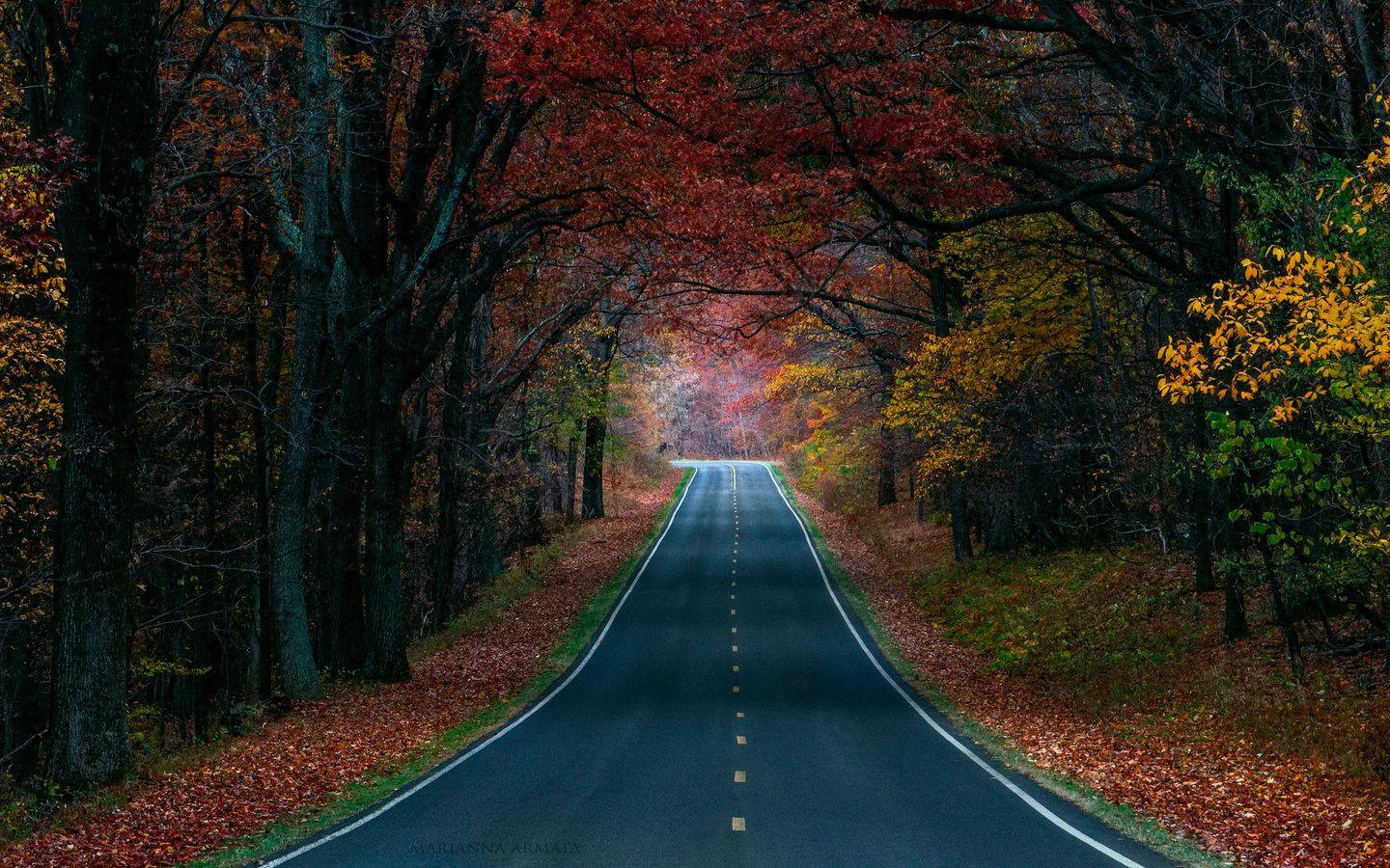 Autumn Road Wallpapers - Top Free Autumn Road Backgrounds - WallpaperAccess