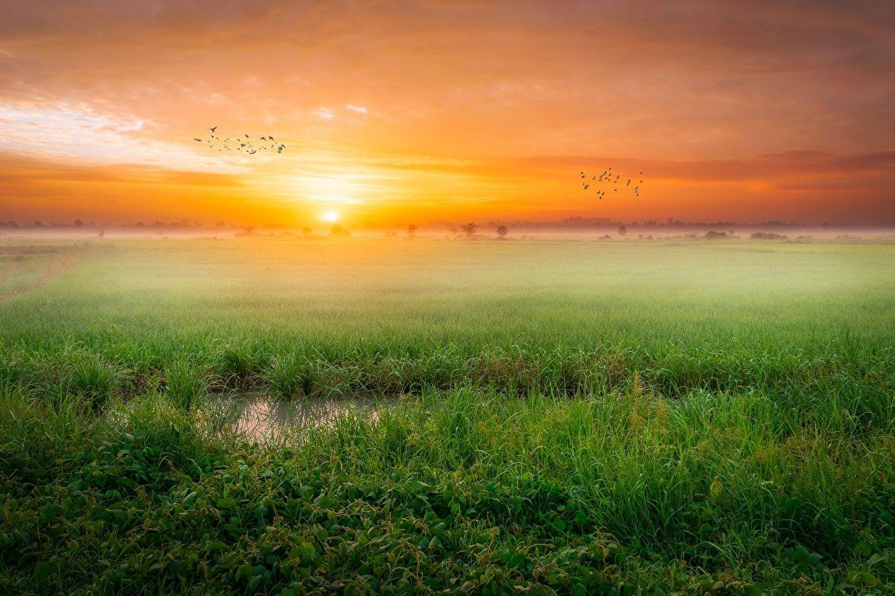 Sunset Scenery Wallpapers - Top Free Sunset Scenery Backgrounds ...
