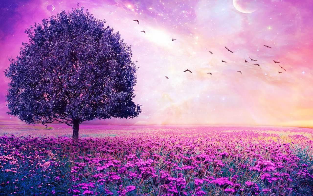 Purple Scenery Wallpapers - Top Free Purple Scenery Backgrounds - WallpaperAccess