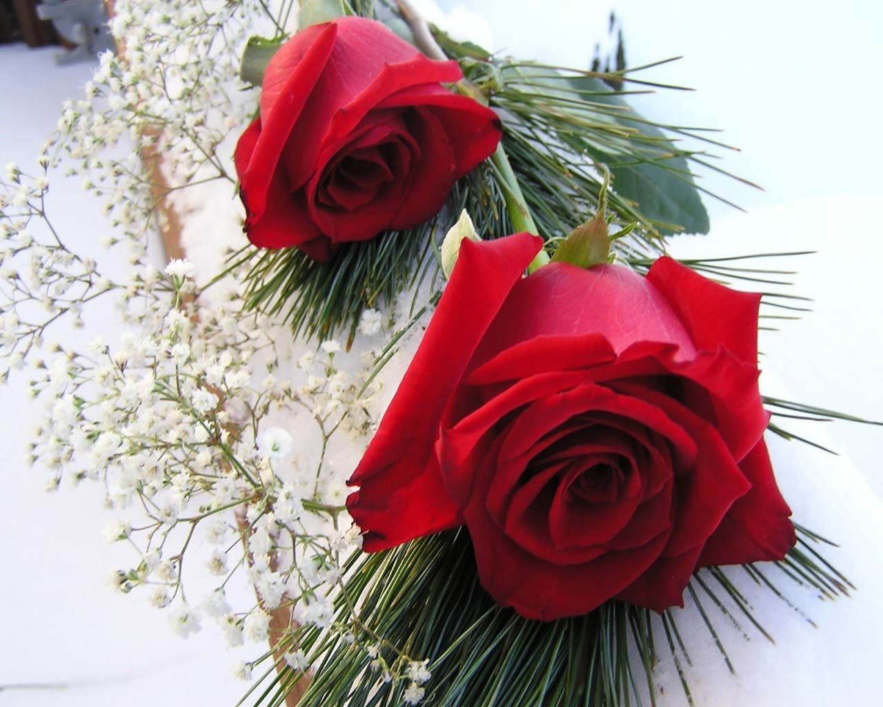 Red Roses HD Wallpapers - Top Free Red Roses HD Backgrounds ...