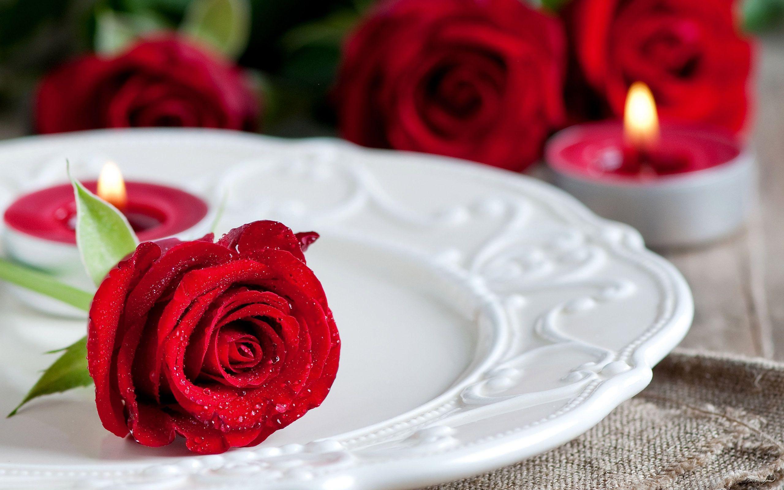 Red Roses HD Wallpapers - Top Free Red Roses HD Backgrounds ...