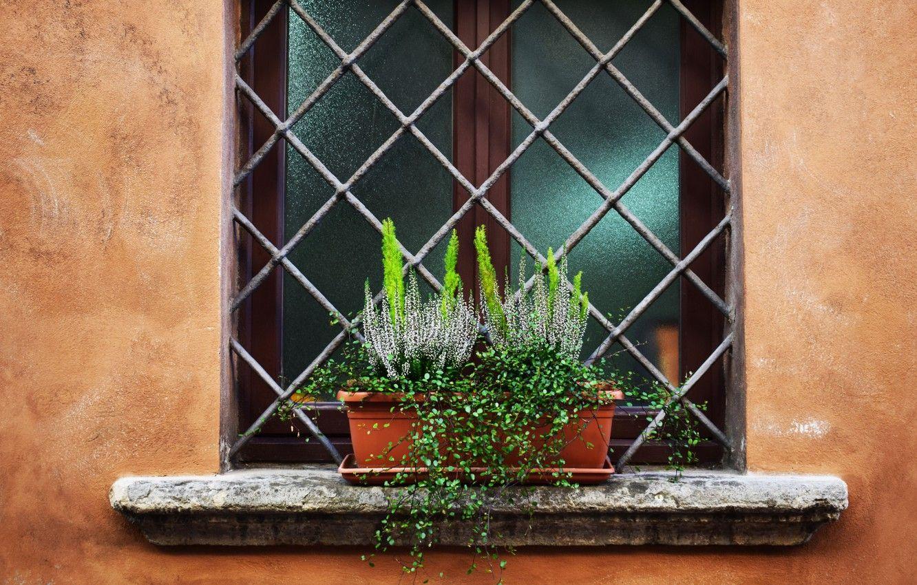 Rustic Windows Wallpapers - Top Free Rustic Windows Backgrounds ...