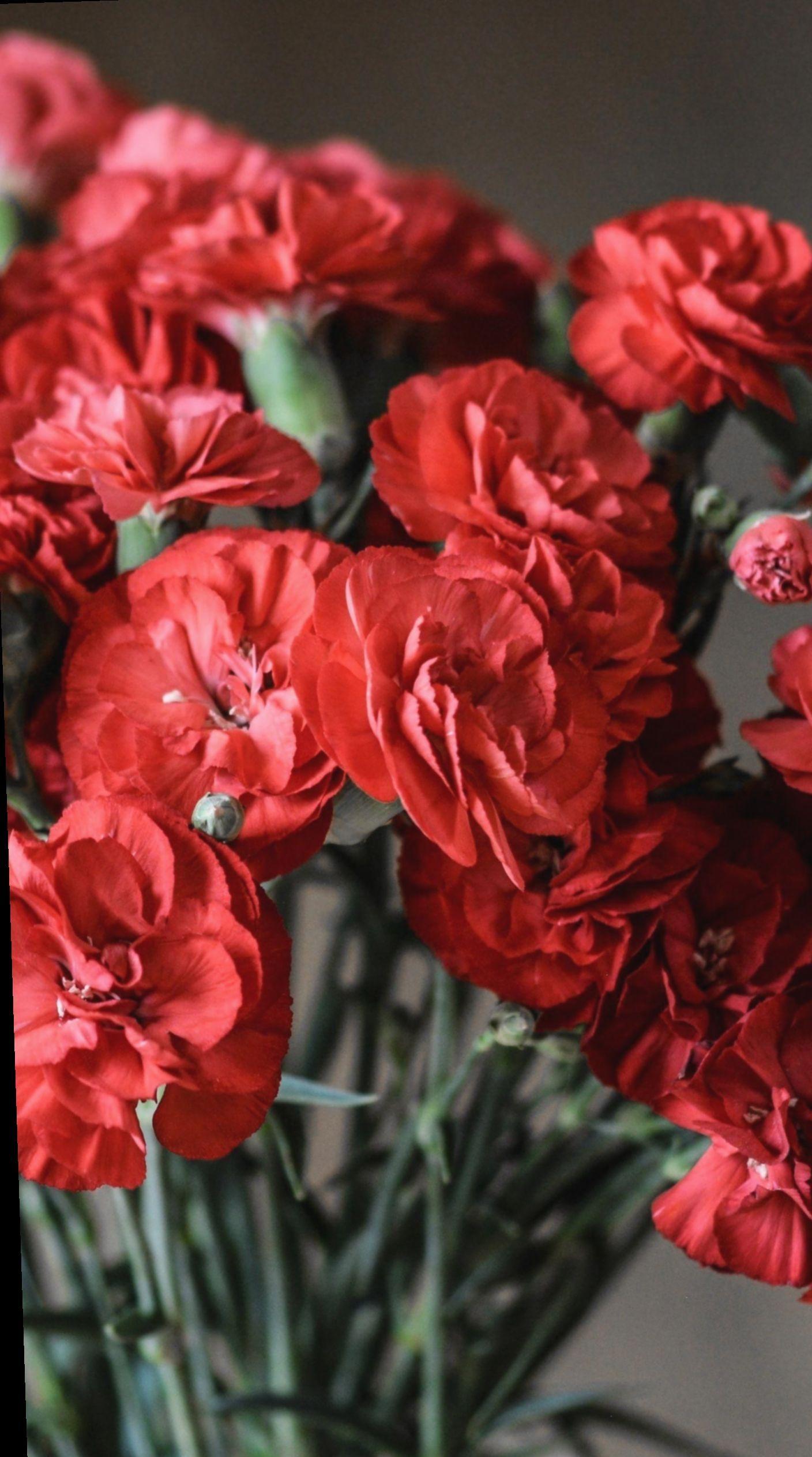 Rustic Floral Desktop Wallpapers - Top Free Rustic Floral Desktop ...