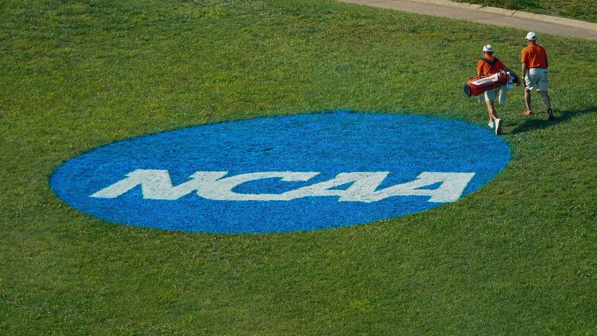 Bunchie Young Wallpapers - Top Free Bunchie Young Backgrounds ...