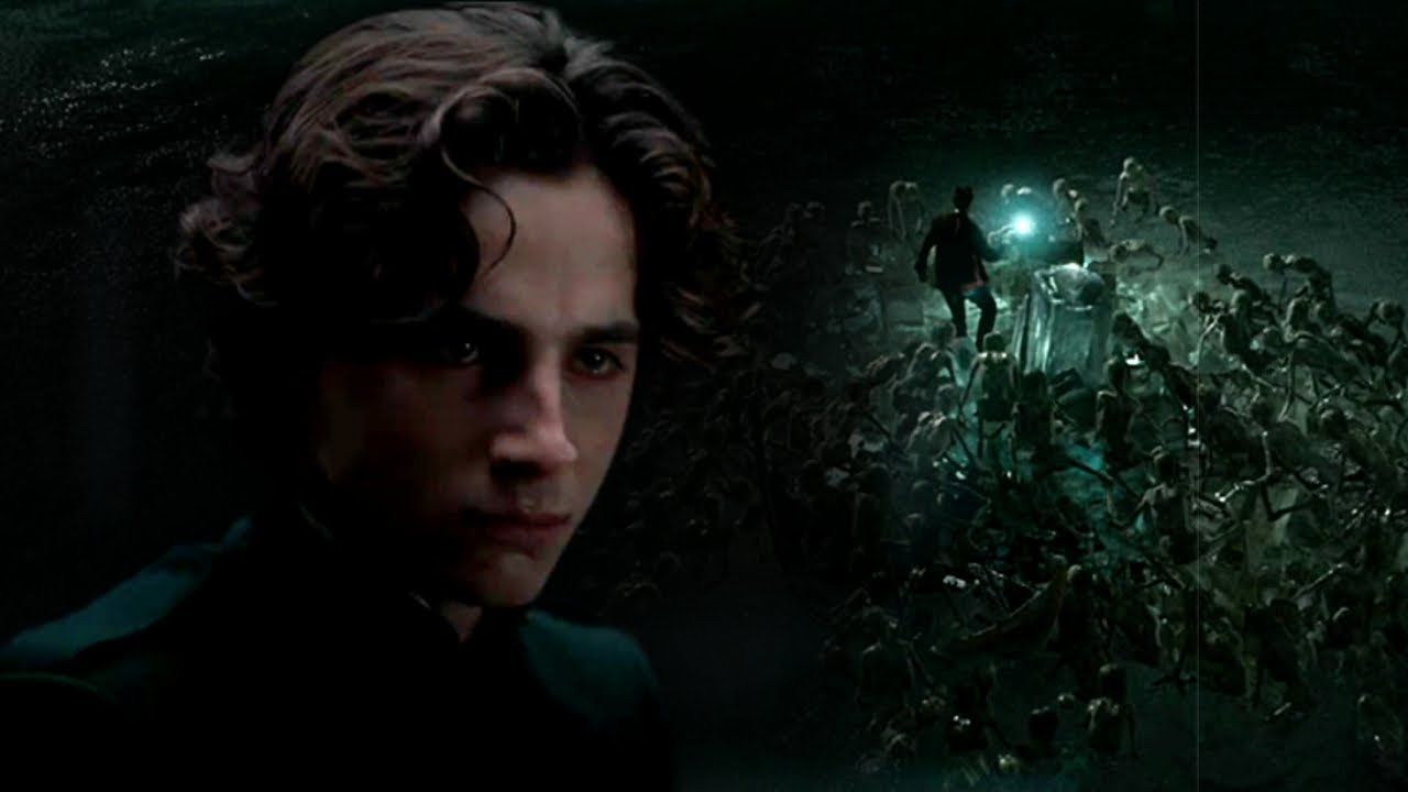 Regulus Black Wallpapers - Top Free Regulus Black Backgrounds ...