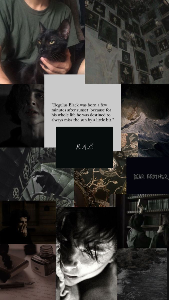 Regulus Black Wallpapers - Top Free Regulus Black Backgrounds ...