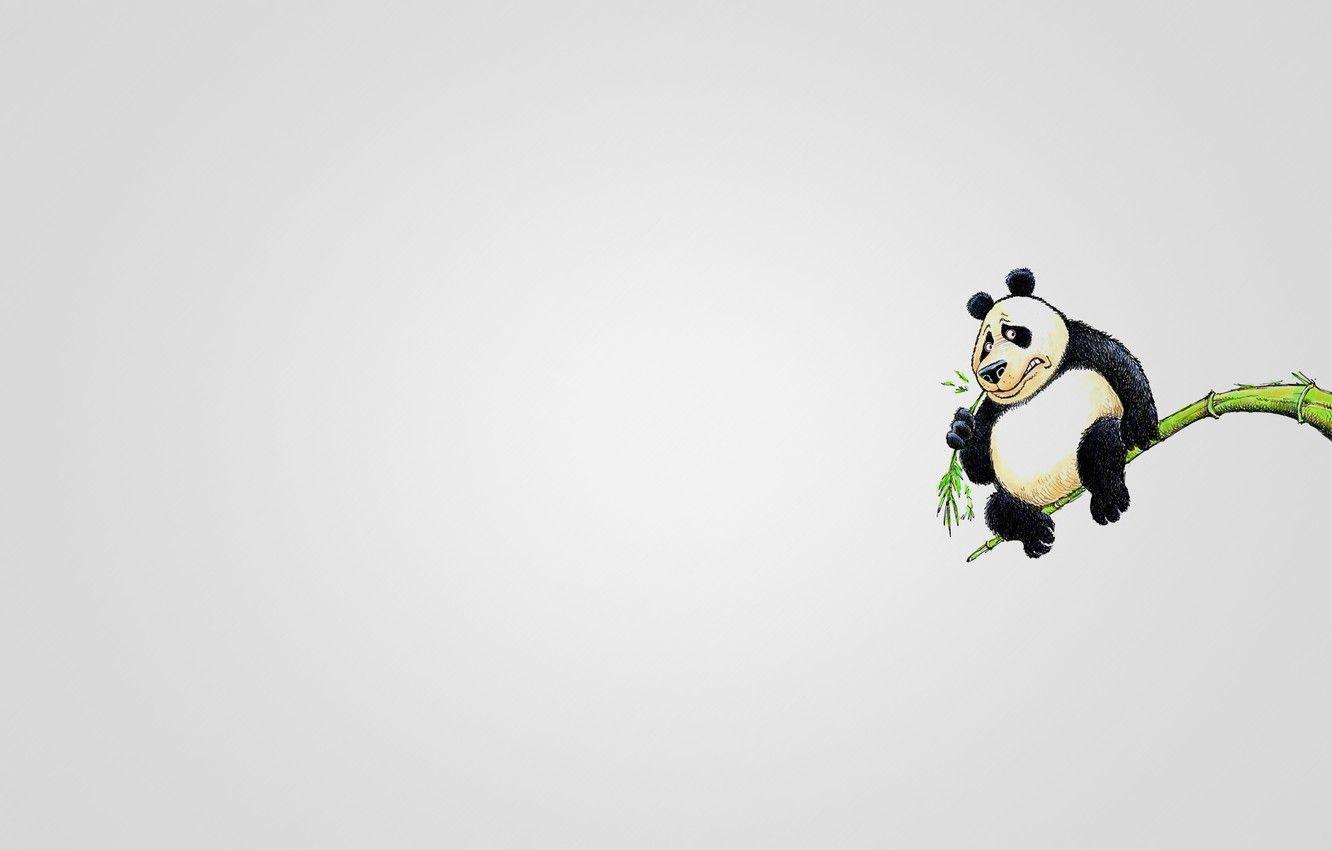 Minimalist Panda Wallpapers - Top Free Minimalist Panda Backgrounds ...