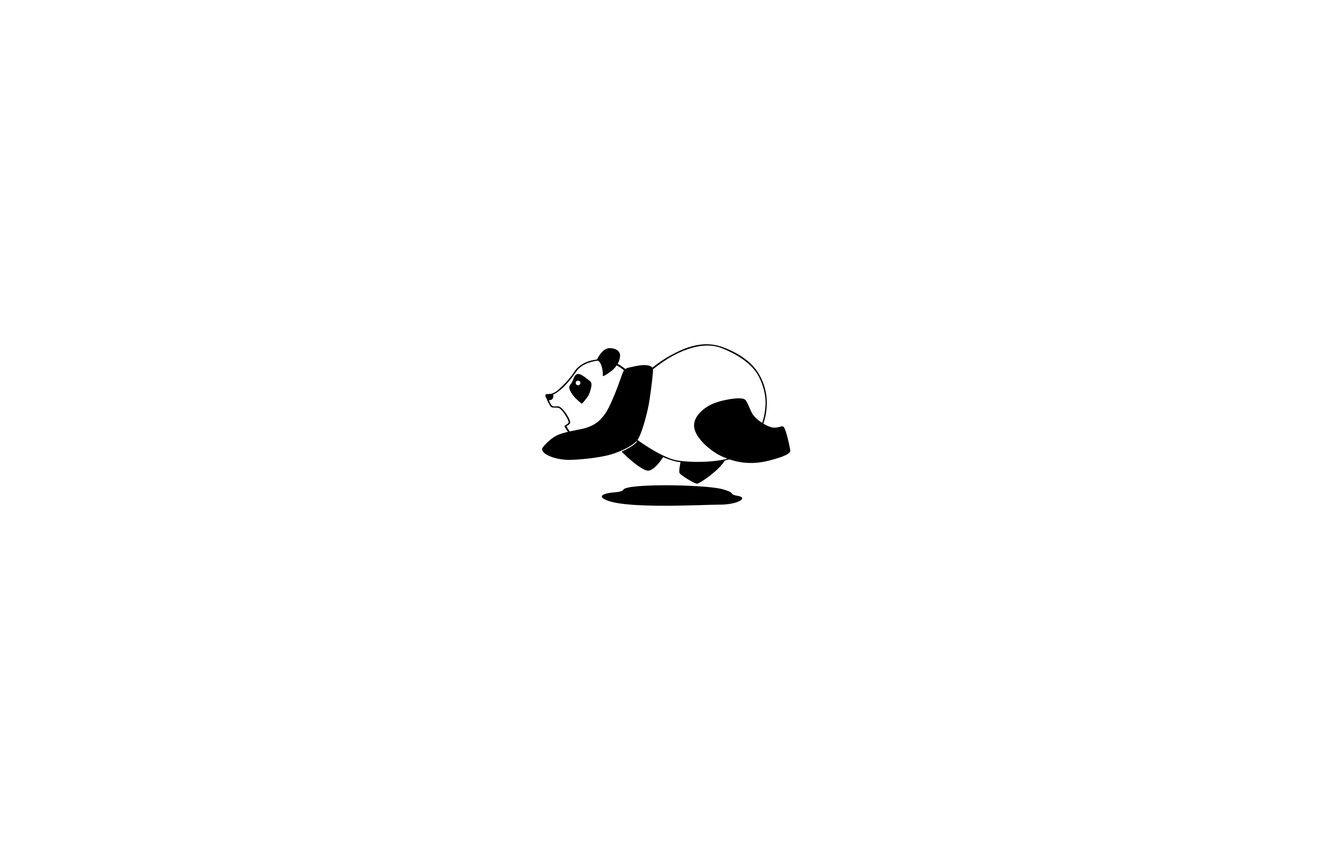Minimalist Panda Wallpapers - Top Free Minimalist Panda Backgrounds ...
