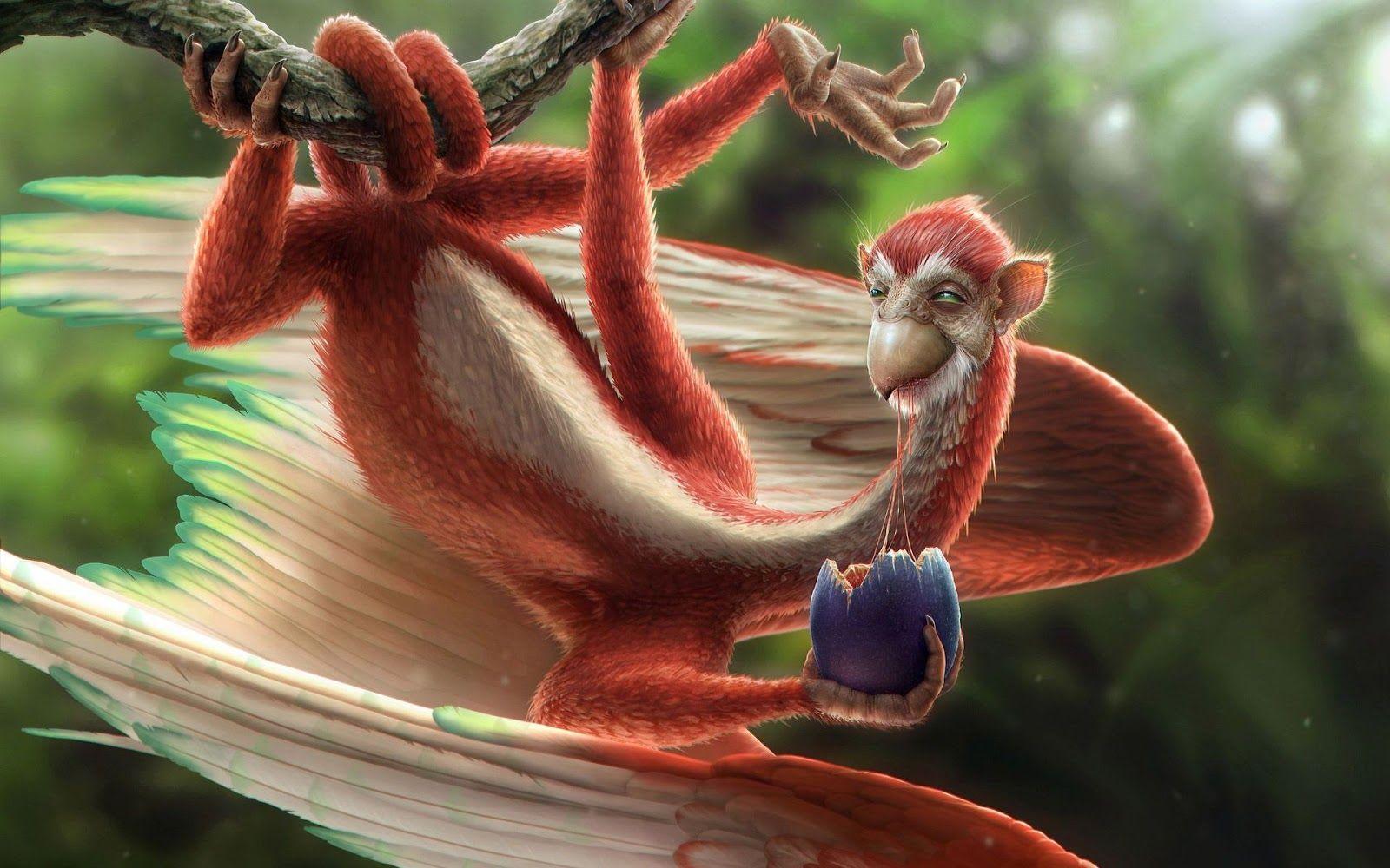 Flying Animal Wallpapers - Top Free Flying Animal Backgrounds ...