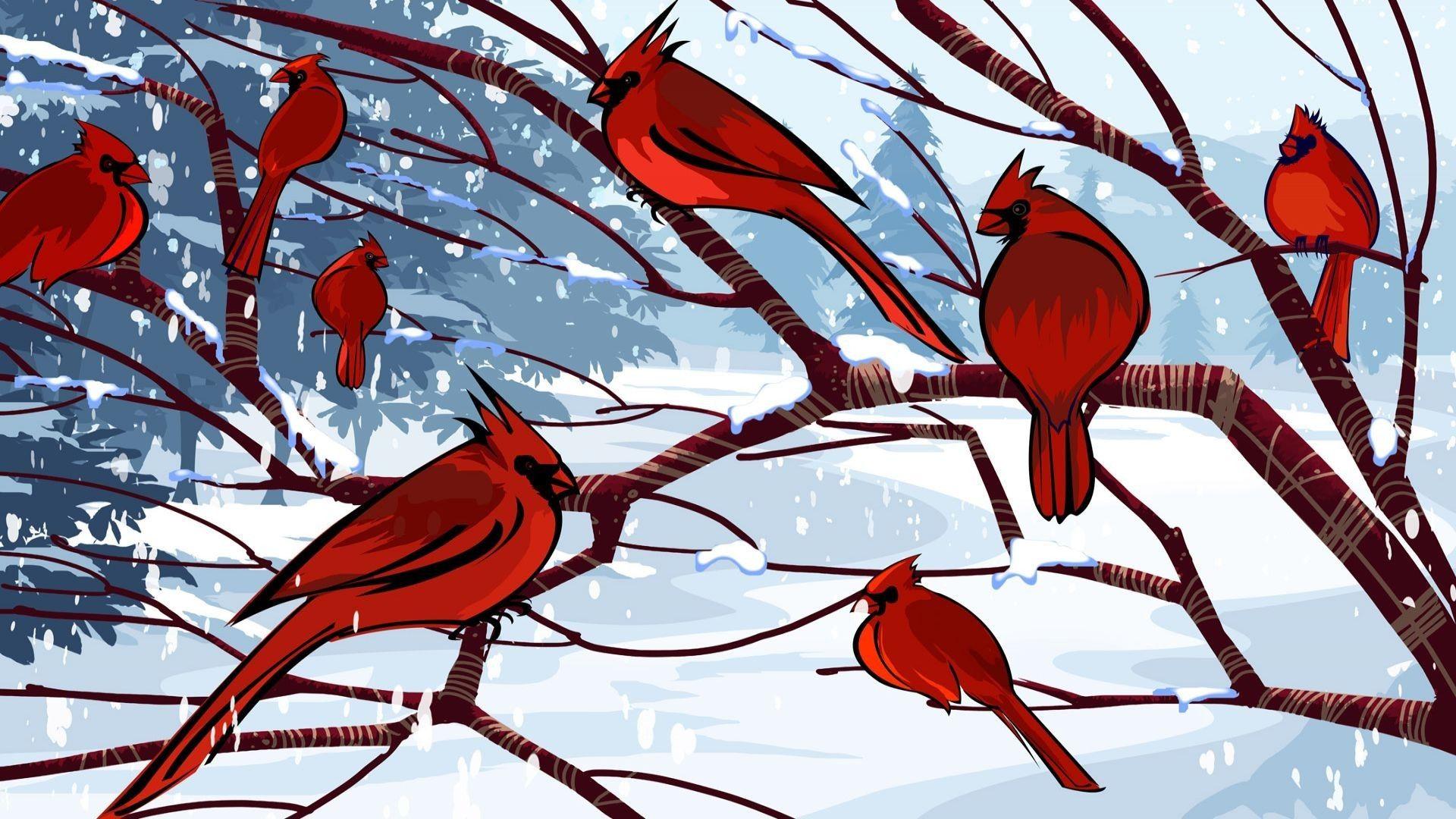 Winter Cardinal Wallpapers - Top Free Winter Cardinal Backgrounds ...
