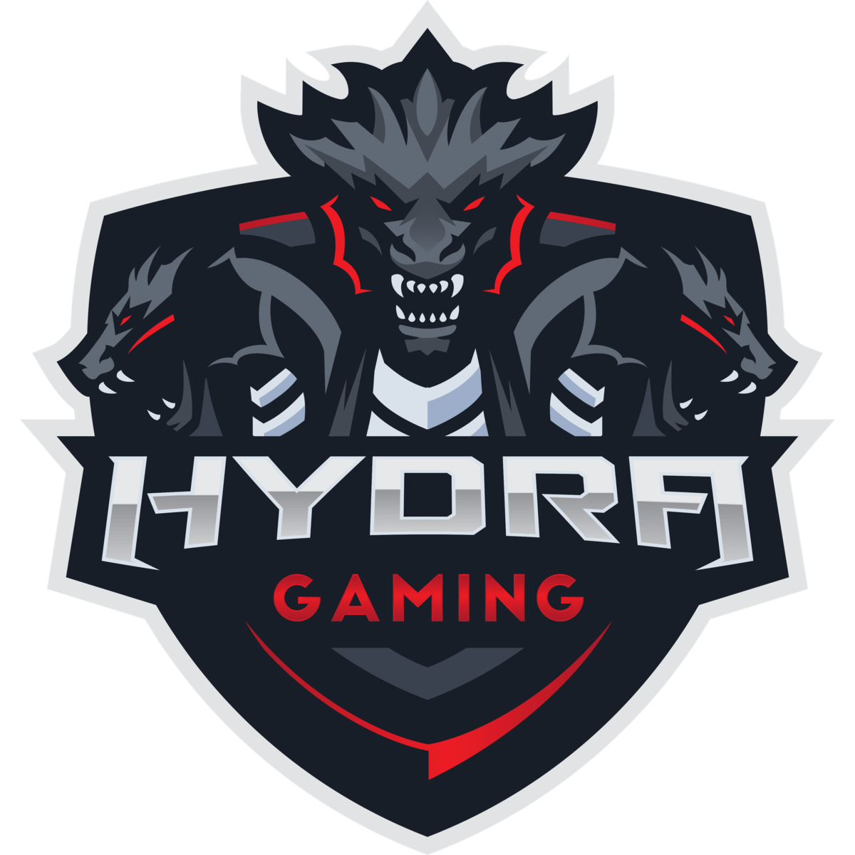 Dynamo Gaming Wallpapers - Top Free Dynamo Gaming Backgrounds ...