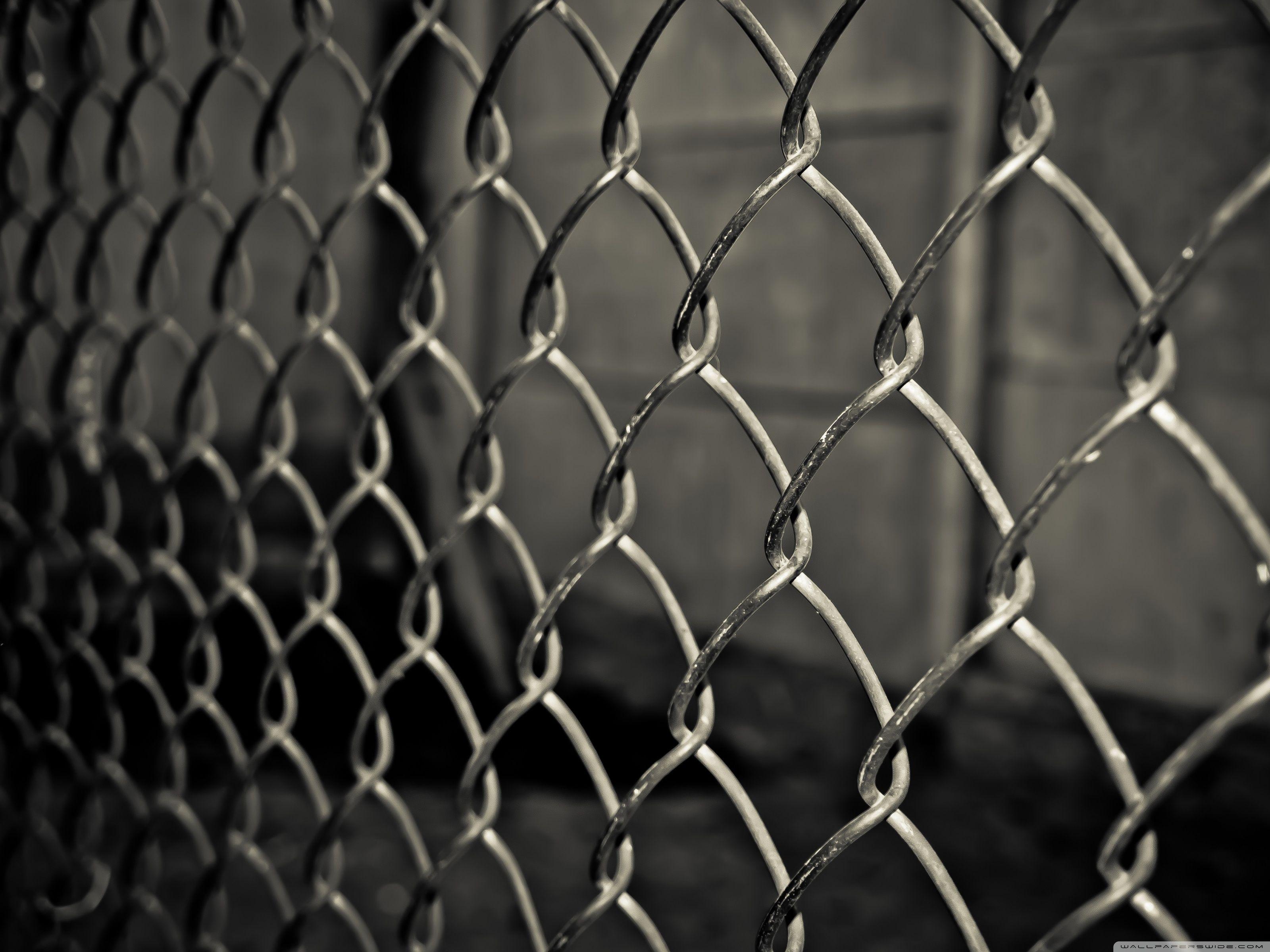 Fence Wallpapers - Top Free Fence Backgrounds - WallpaperAccess