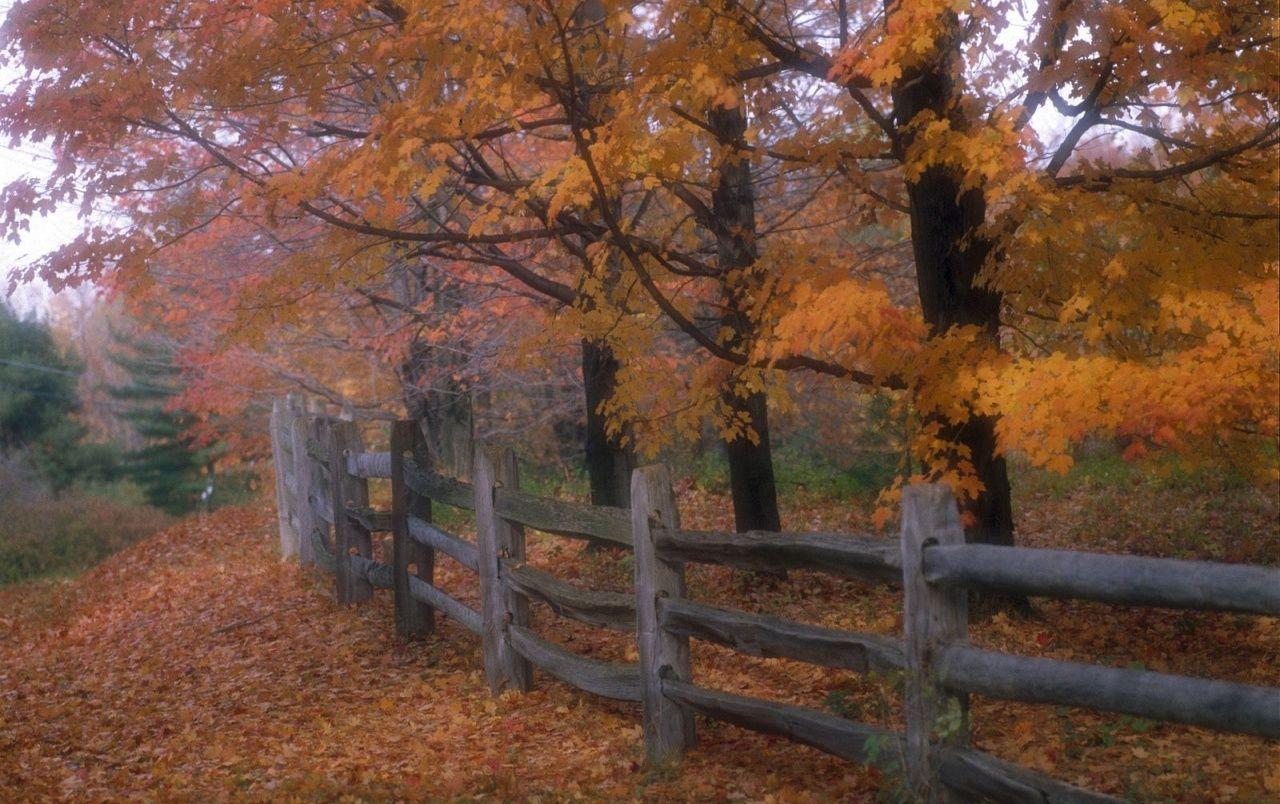 Fence Wallpapers - Top Free Fence Backgrounds - WallpaperAccess