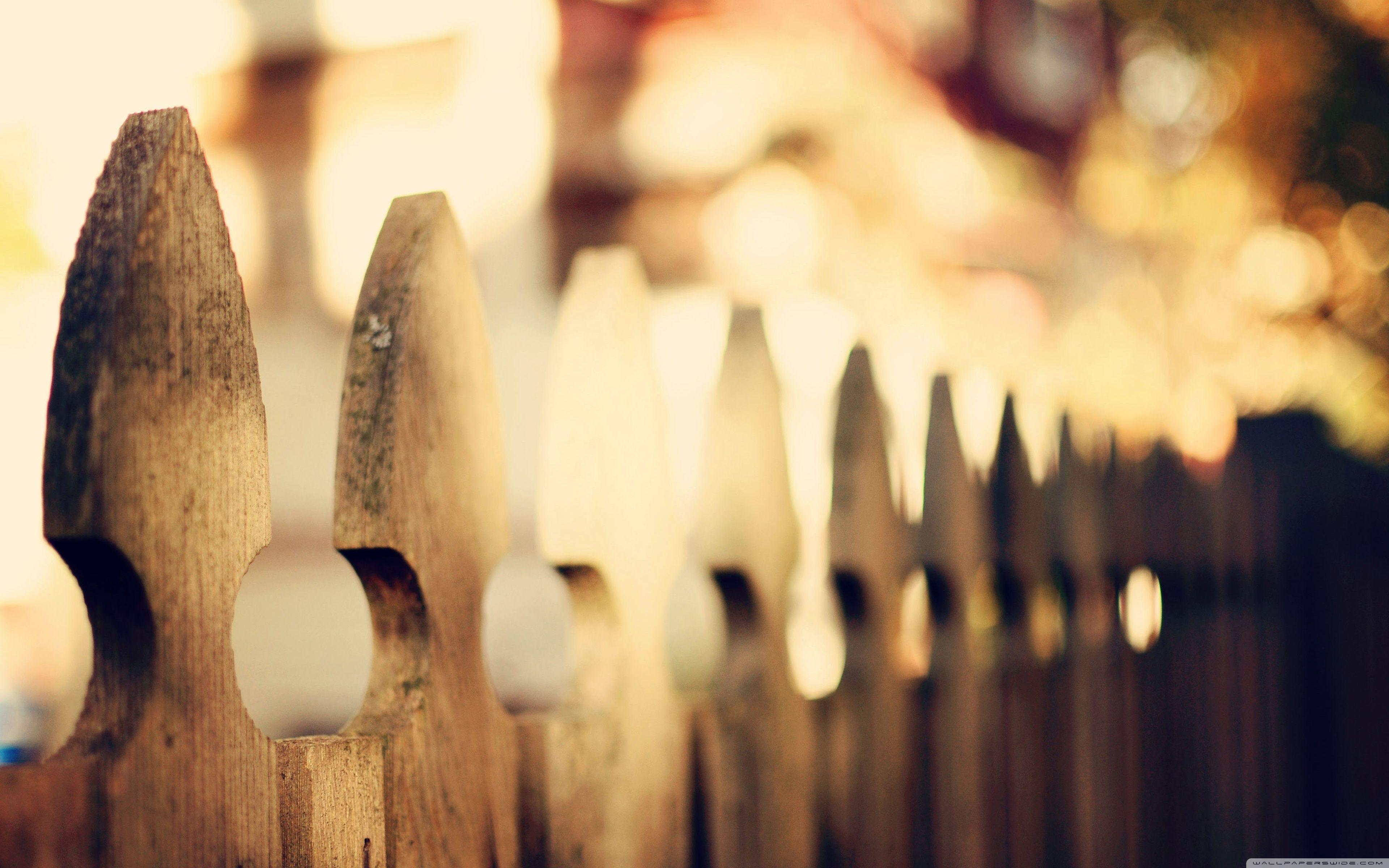 Fence Wallpapers - Top Free Fence Backgrounds - WallpaperAccess