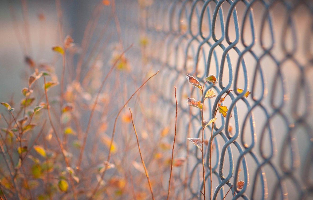 Fence Wallpapers - Top Free Fence Backgrounds - WallpaperAccess