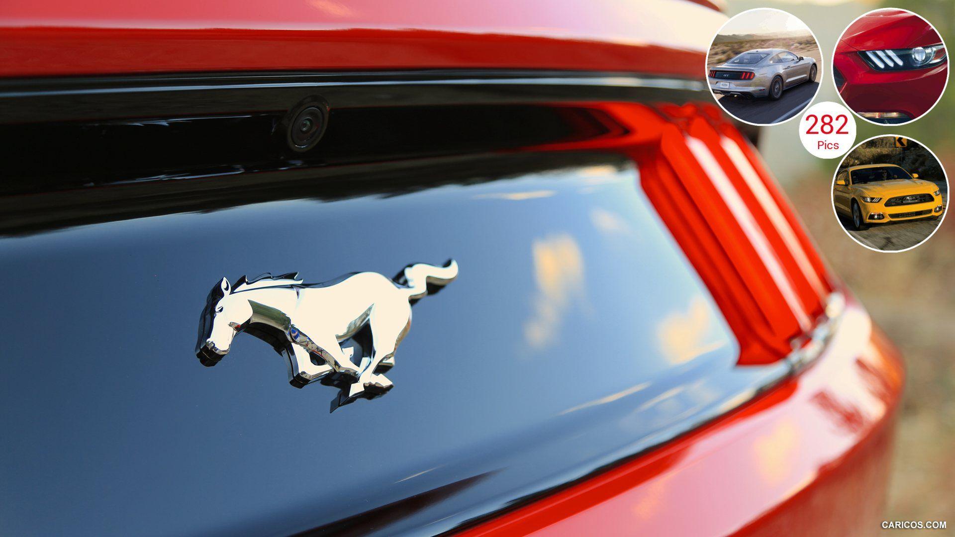 Ford Mustang Logo Wallpapers - Top Free Ford Mustang Logo Backgrounds ...