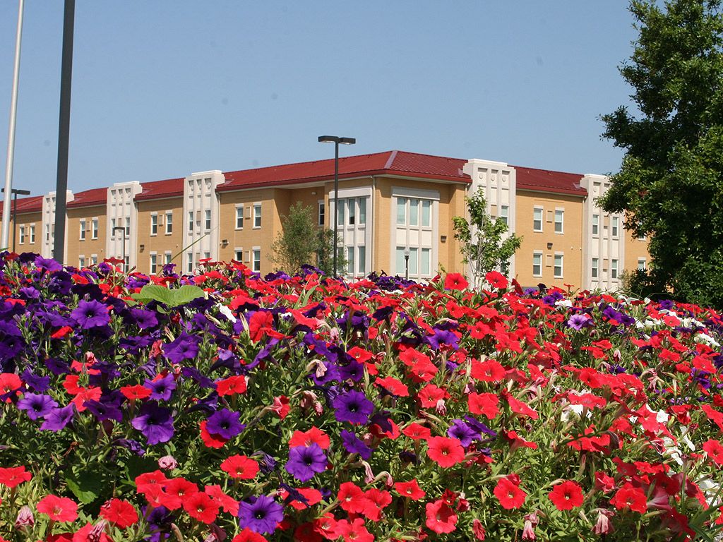 Ulm Wallpapers - Top Free Ulm Backgrounds - WallpaperAccess
