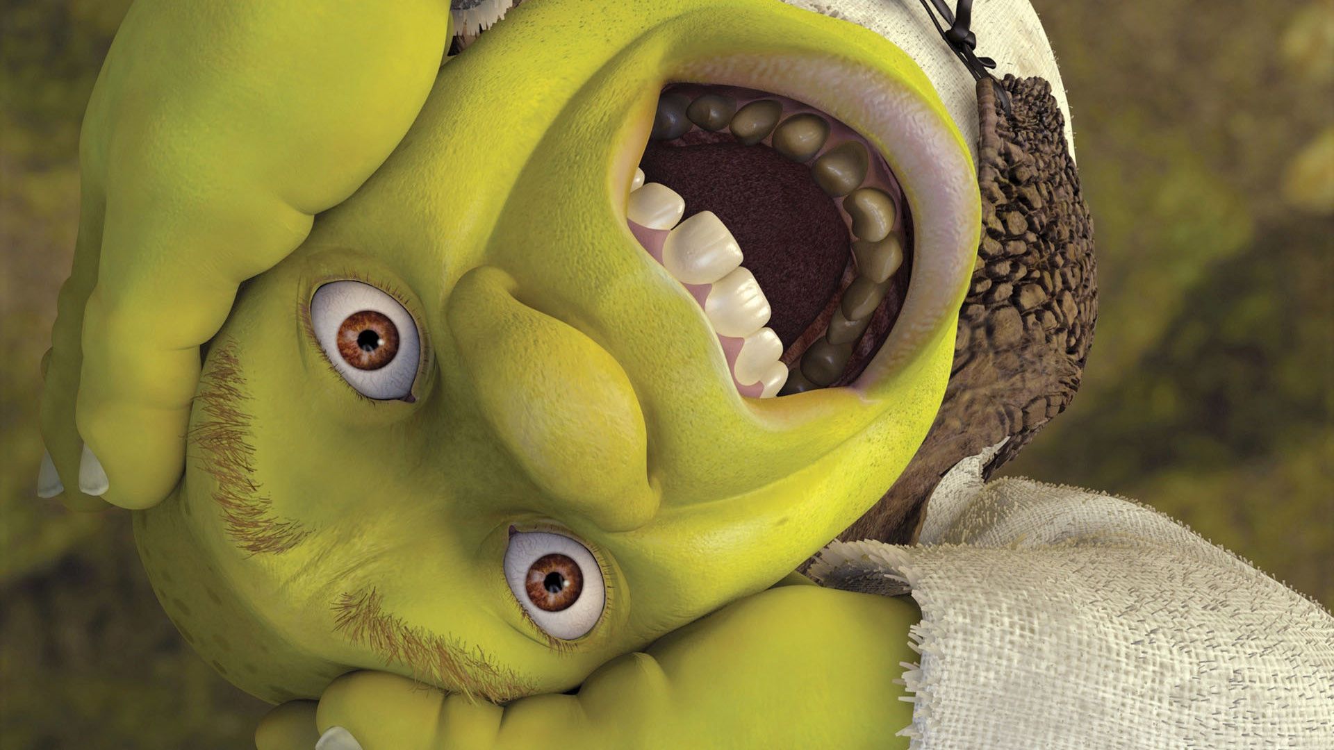 Shrek Windows Wallpapers - Top Free Shrek Windows Backgrounds ...