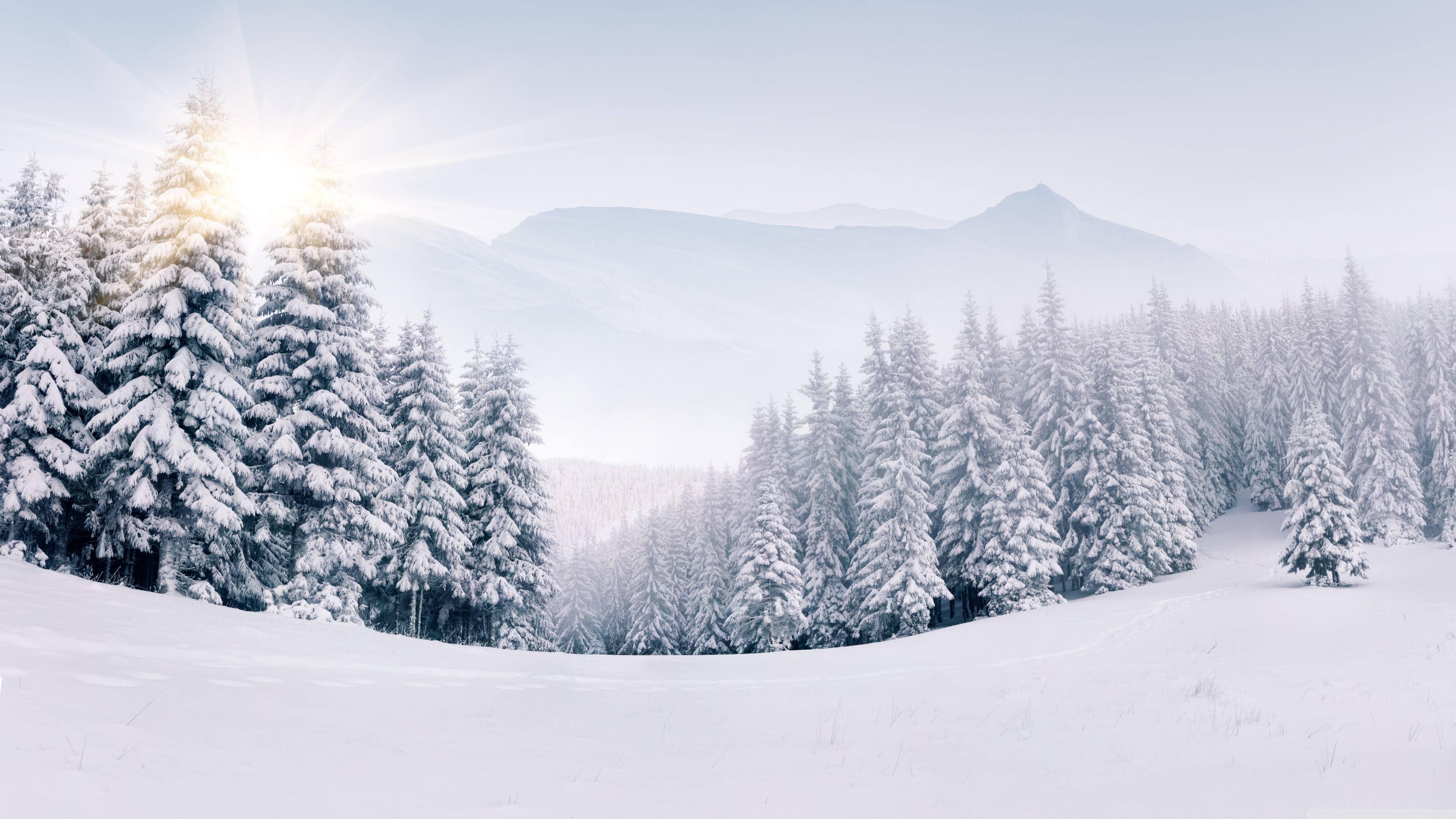 1720X1080 Wallpapers - Top Free 1720X1080 Backgrounds - WallpaperAccess