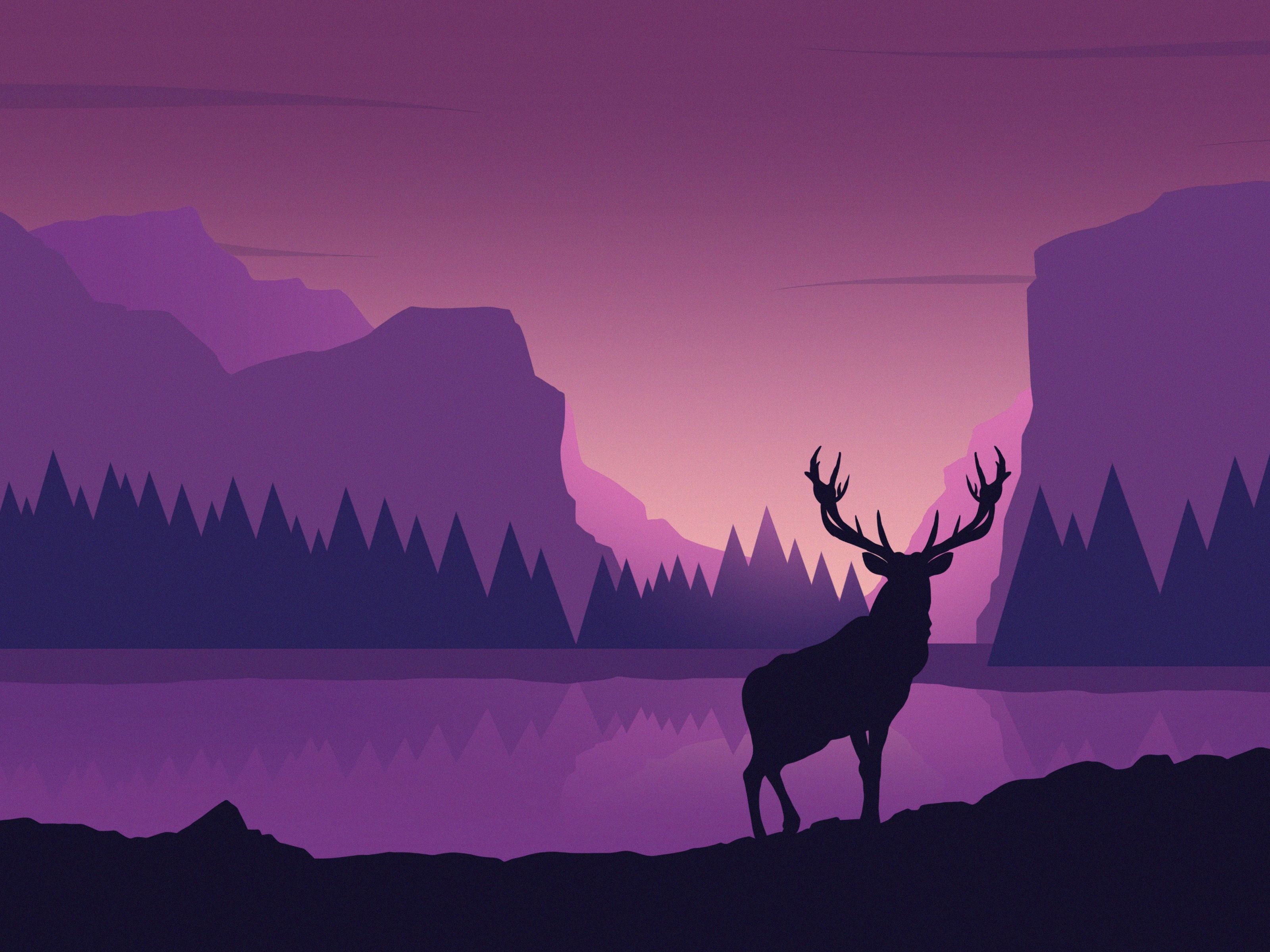 3200X2400 Wallpapers - Top Free 3200X2400 Backgrounds - WallpaperAccess