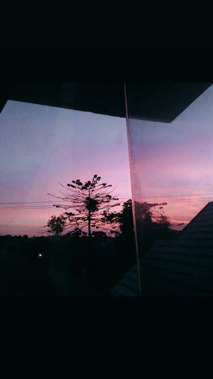 Aesthetic View Wallpapers - Top Free Aesthetic View Backgrounds ...