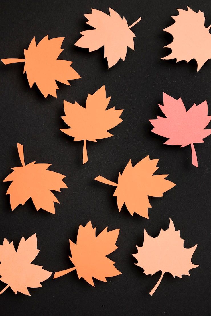 Chinar Leaf Wallpapers - Top Free Chinar Leaf Backgrounds - WallpaperAccess